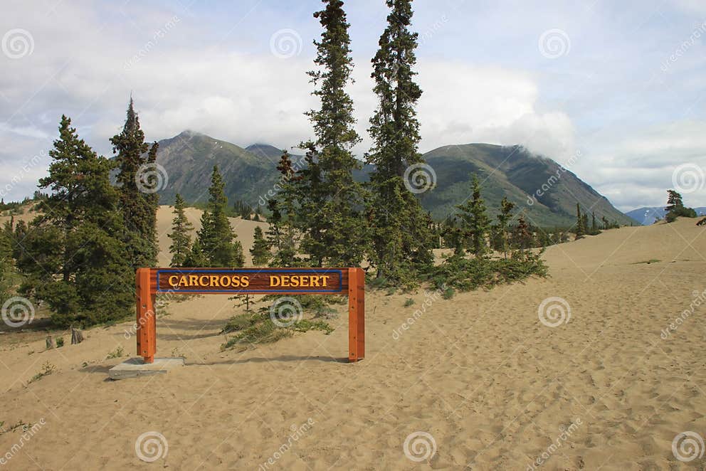 Carcross desert stock image. Image of dunes, contrast - 23467965