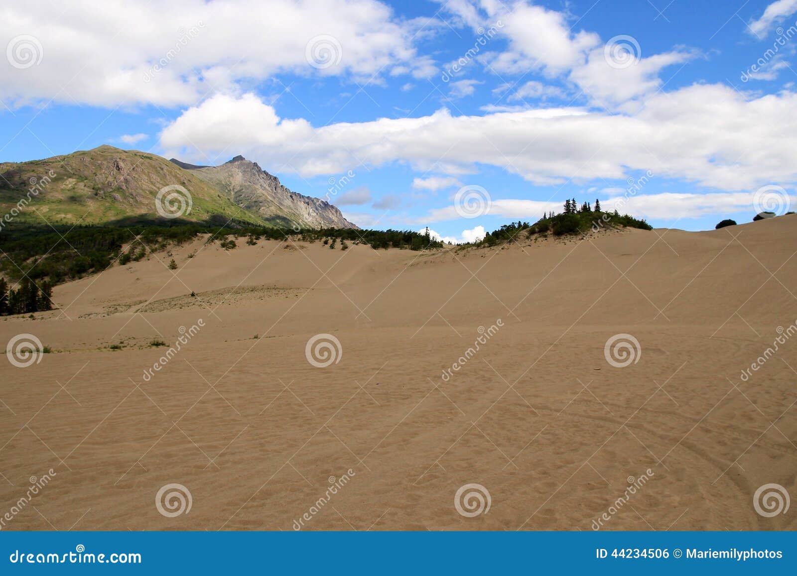 Carcross Desert, Carcross, Yukon, Canada Stock Photo - Image of ...
