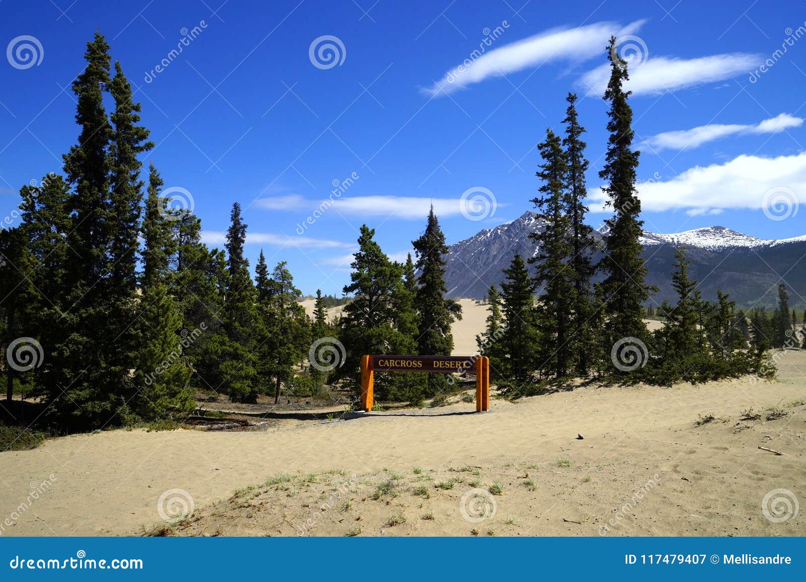 Carcross Desert, Next To Klondike Highway Stock Image - Image of ...