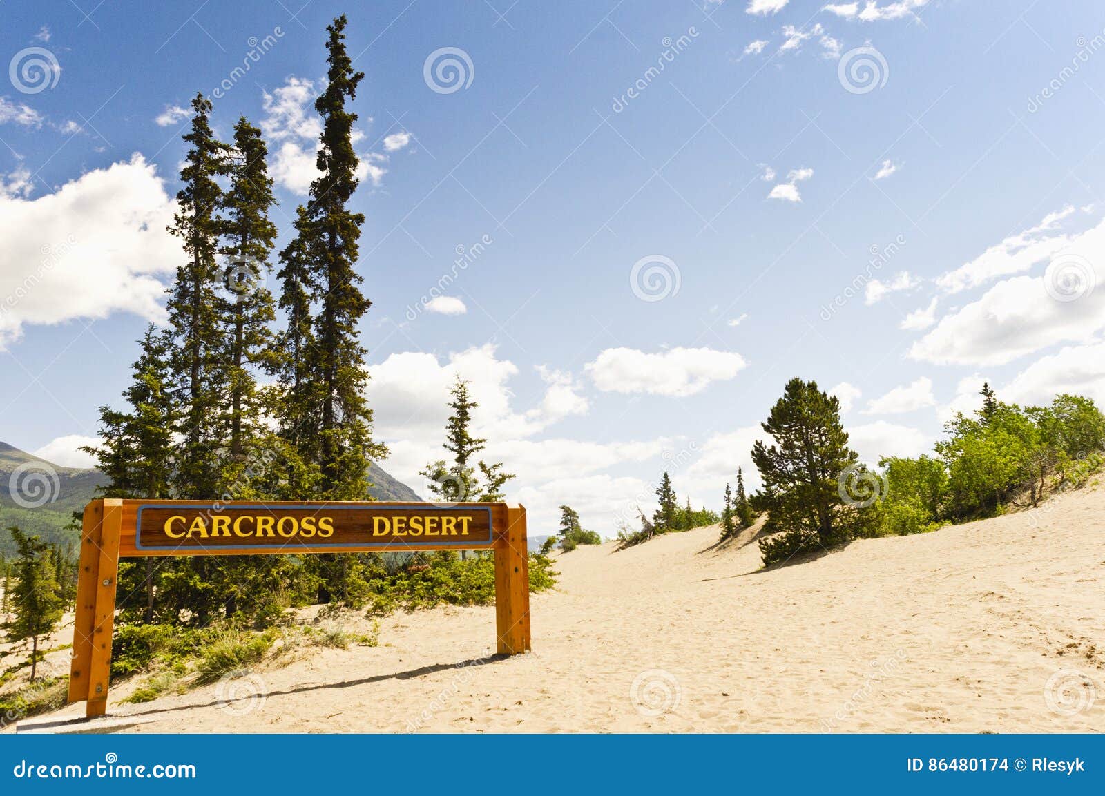 Carcross desert and sign stock photo. Image of carcross - 86480174