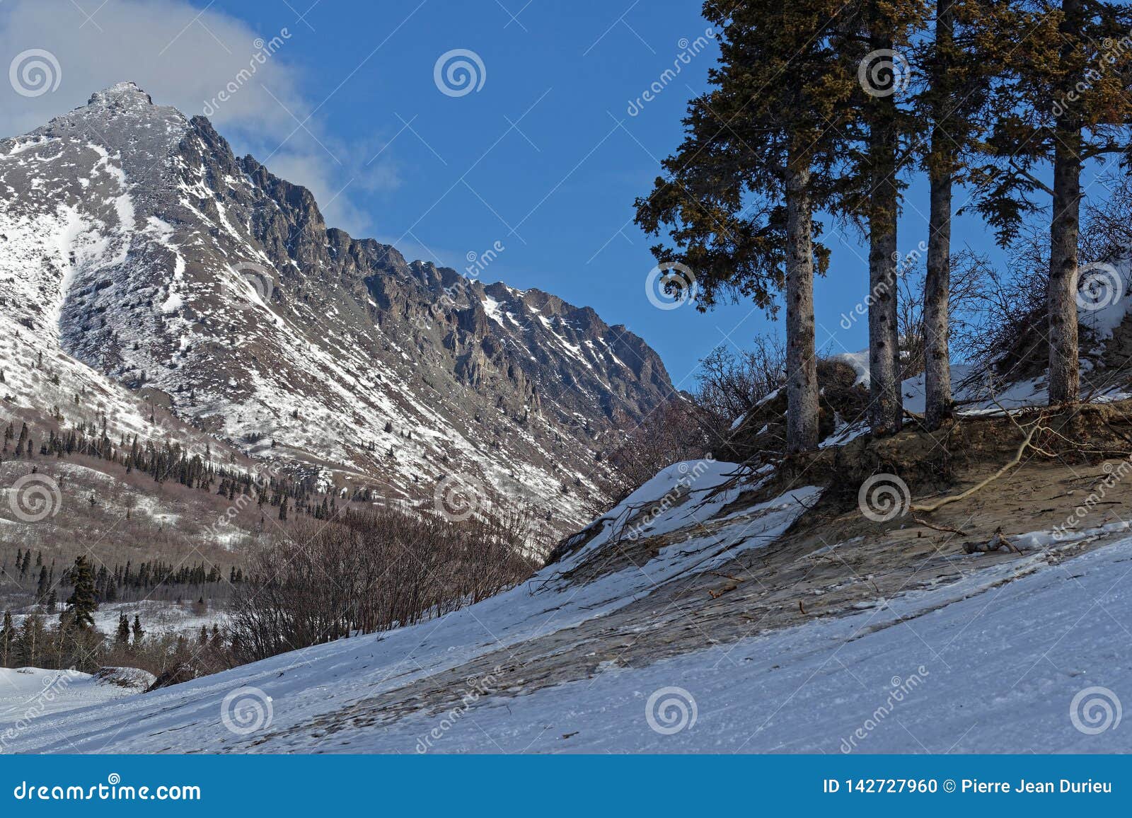 Details of Carcross Desert in Winter Stock Photo - Image of mountain ...