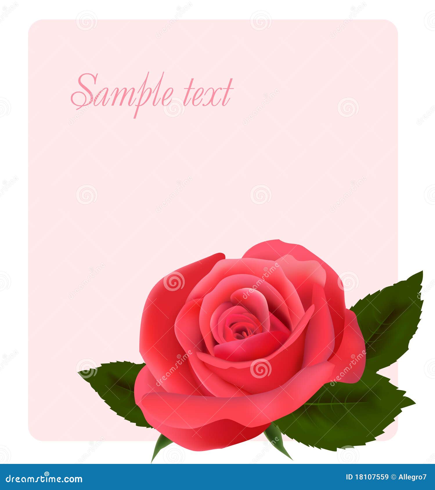 Card with Beautiful Pink Rose. Stock Vector - Illustration of flower ...