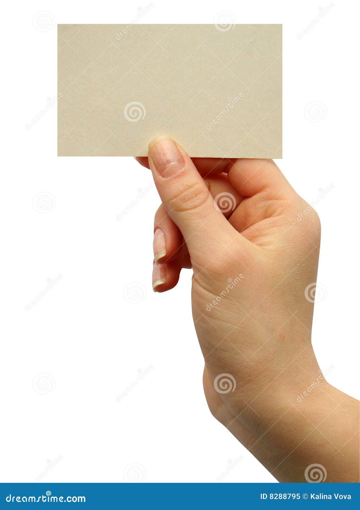 Card blank stock image. Image of blank, message, poster - 8288795
