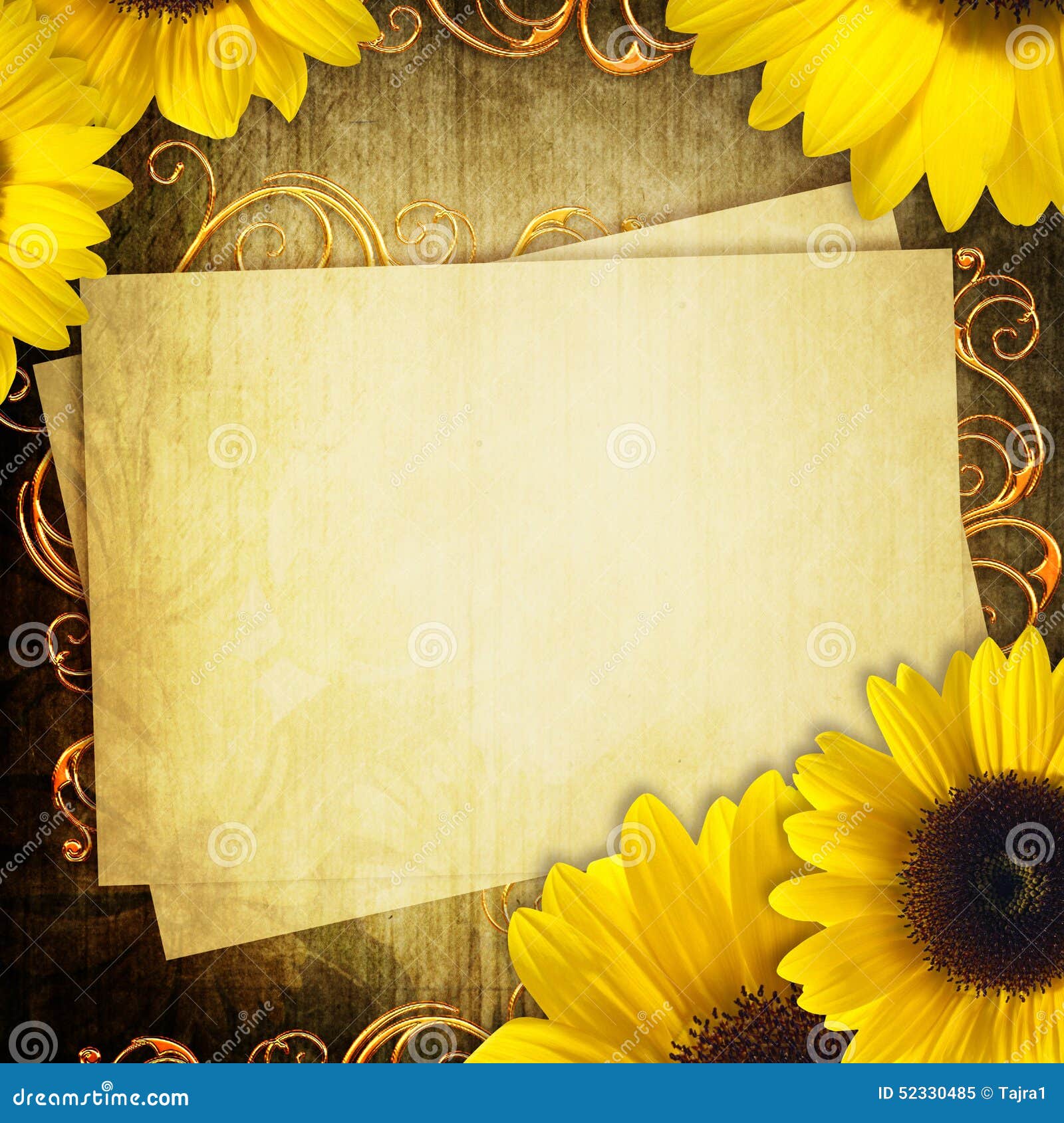 Card with Bunch of Sunflowers Stock Image - Image of card, background ...