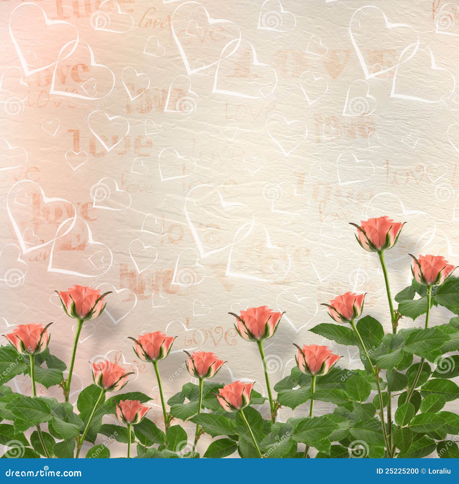 Card for Congratulation with Pink Roses Stock Illustration ...