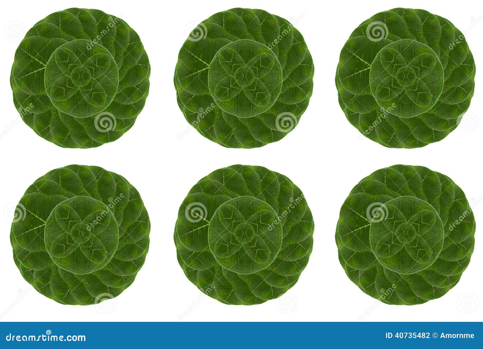 Card form leaf. stock photo. Image of flora, change, grow - 40735482