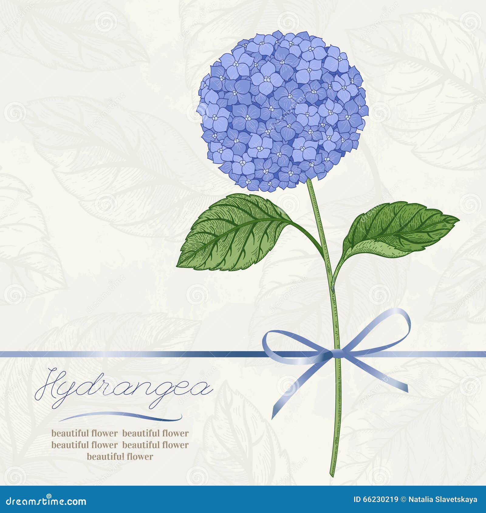 Card with hydrangea stock vector. Illustration of backdrop - 66230219