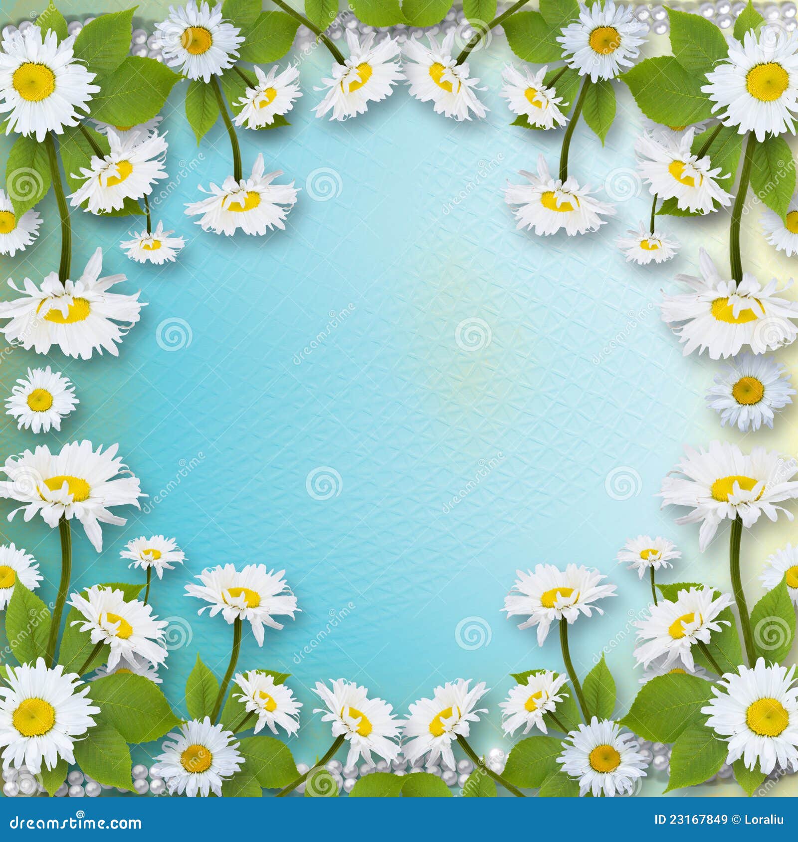 Wedding Congratulations With Border