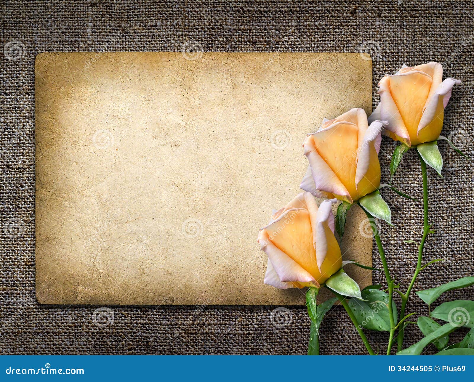 Card for Invitation or Congratulation with Yellow Rose Stock Image ...