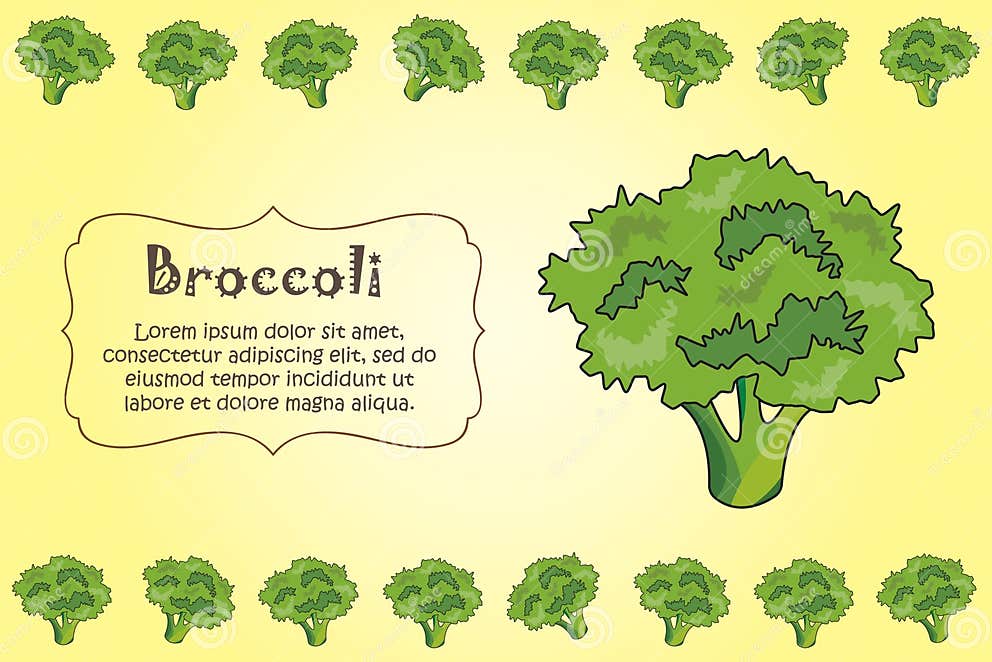 Card for Kitchen Notes. Blank with Broccoli Ornament. Kitchen Card ...