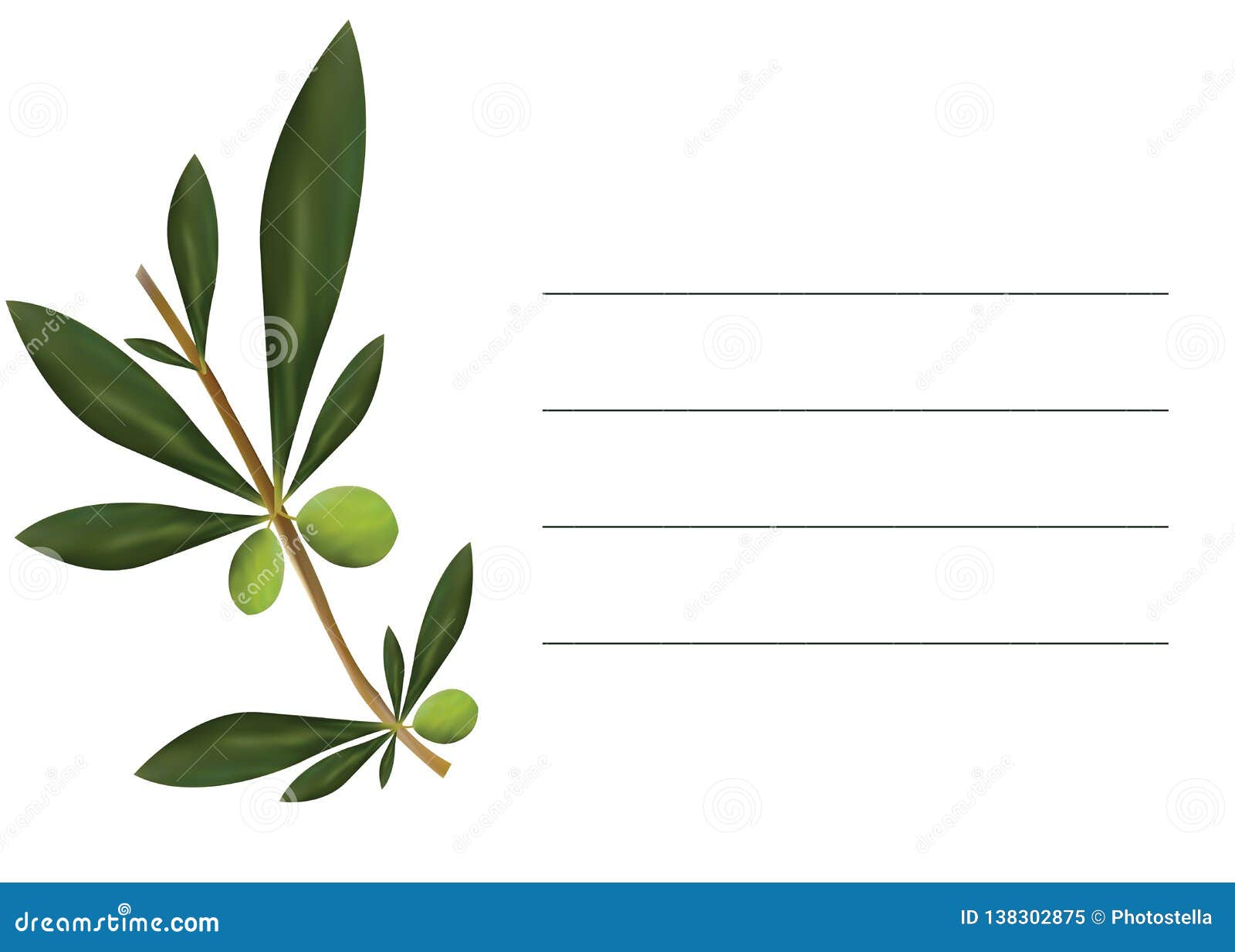 Card with Olive Tree Vector and Empty Lines To Write Stock Vector ...