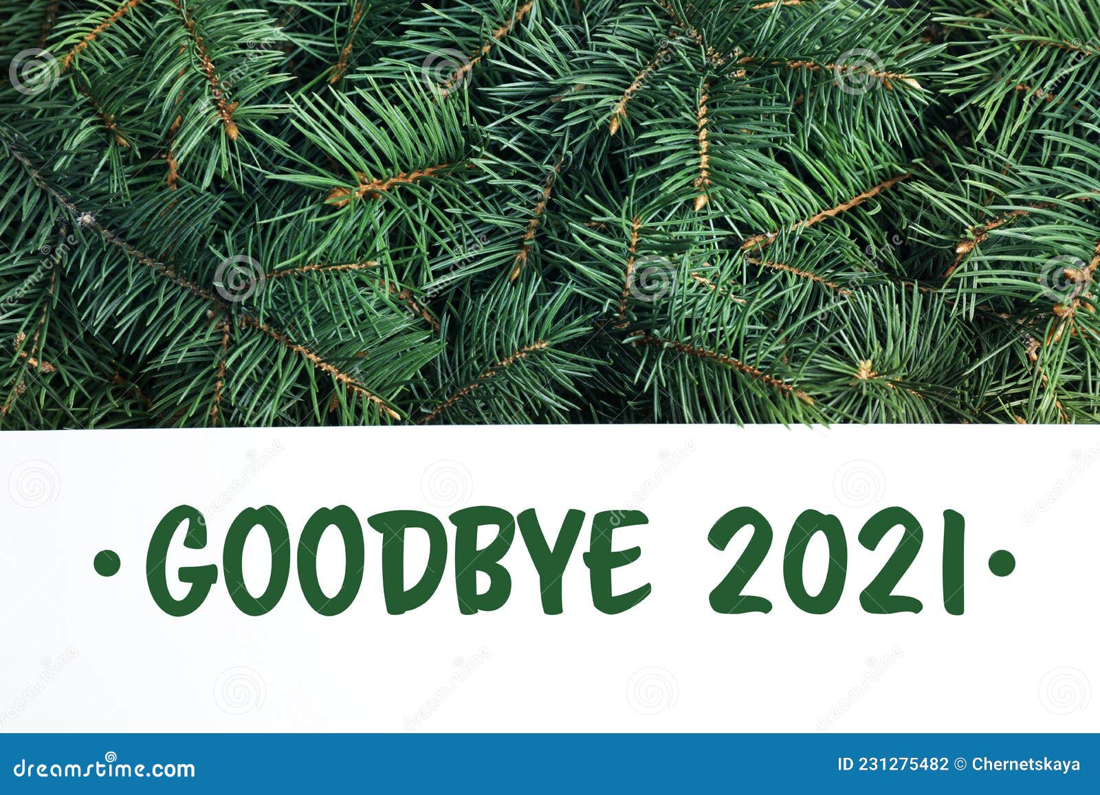 Card with Phrase Goodbye 2021 on Christmas Tree Branches, Top View ...
