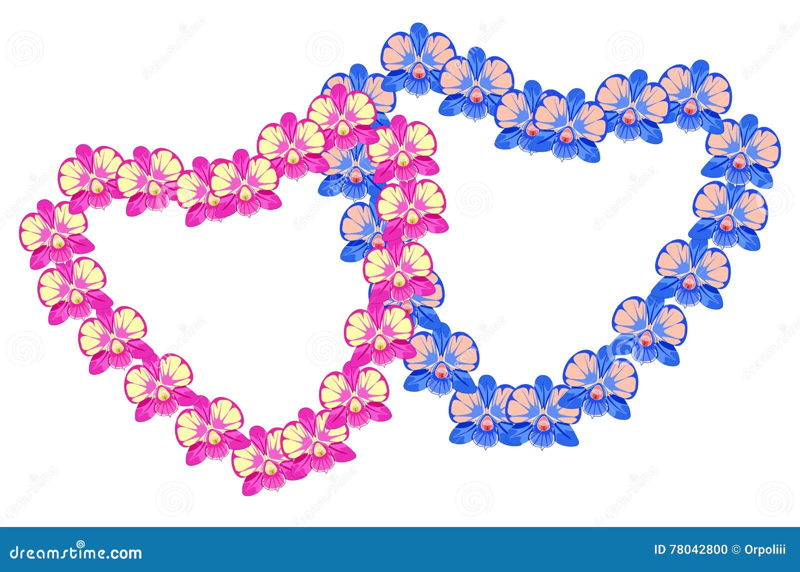 Card Pink and Blue Orchidea Dendrobium Heart Shaped Pair. Vector Stock ...