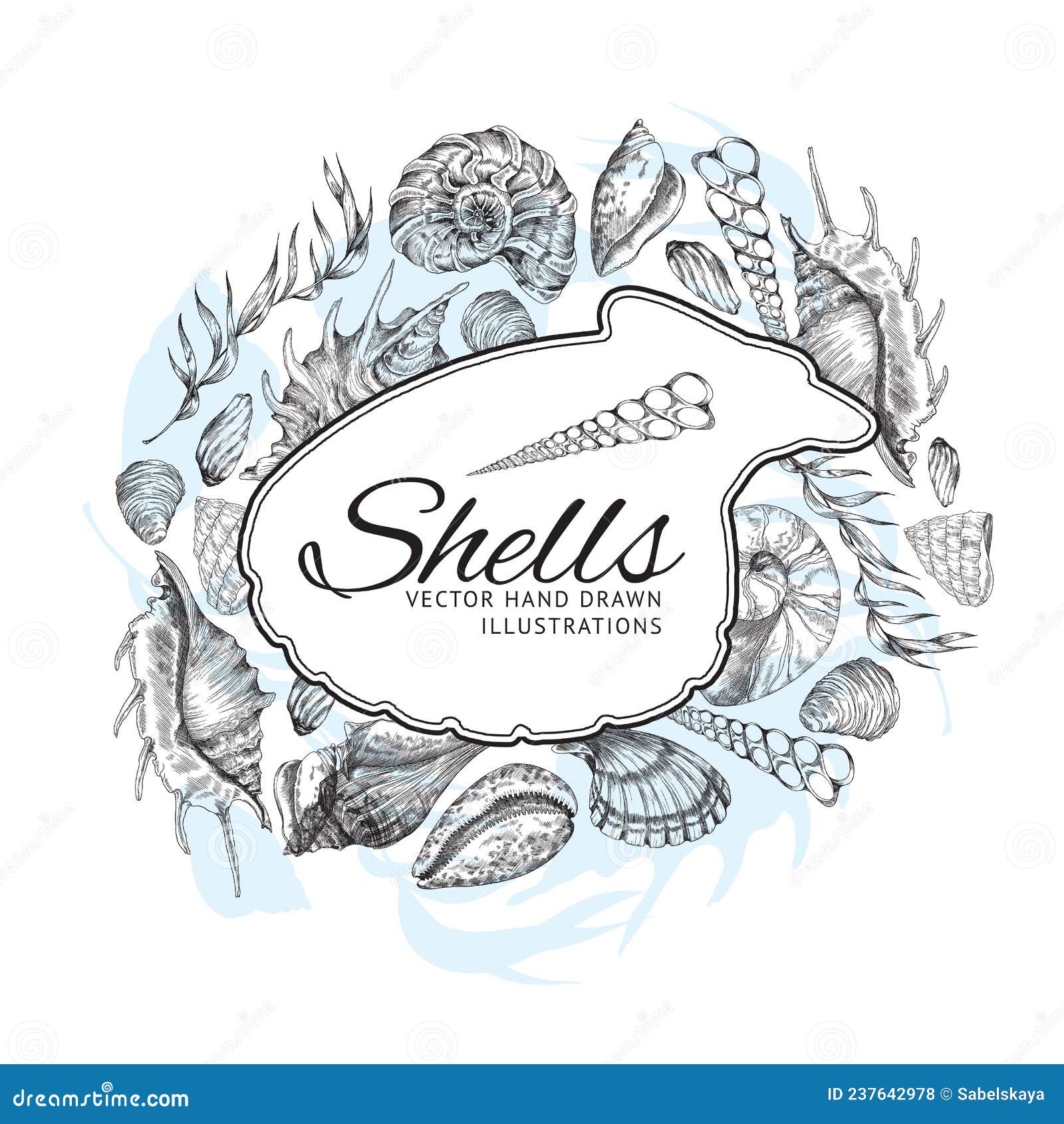 Card or Poster with Shells and Frame for Text, Engraving Vector ...