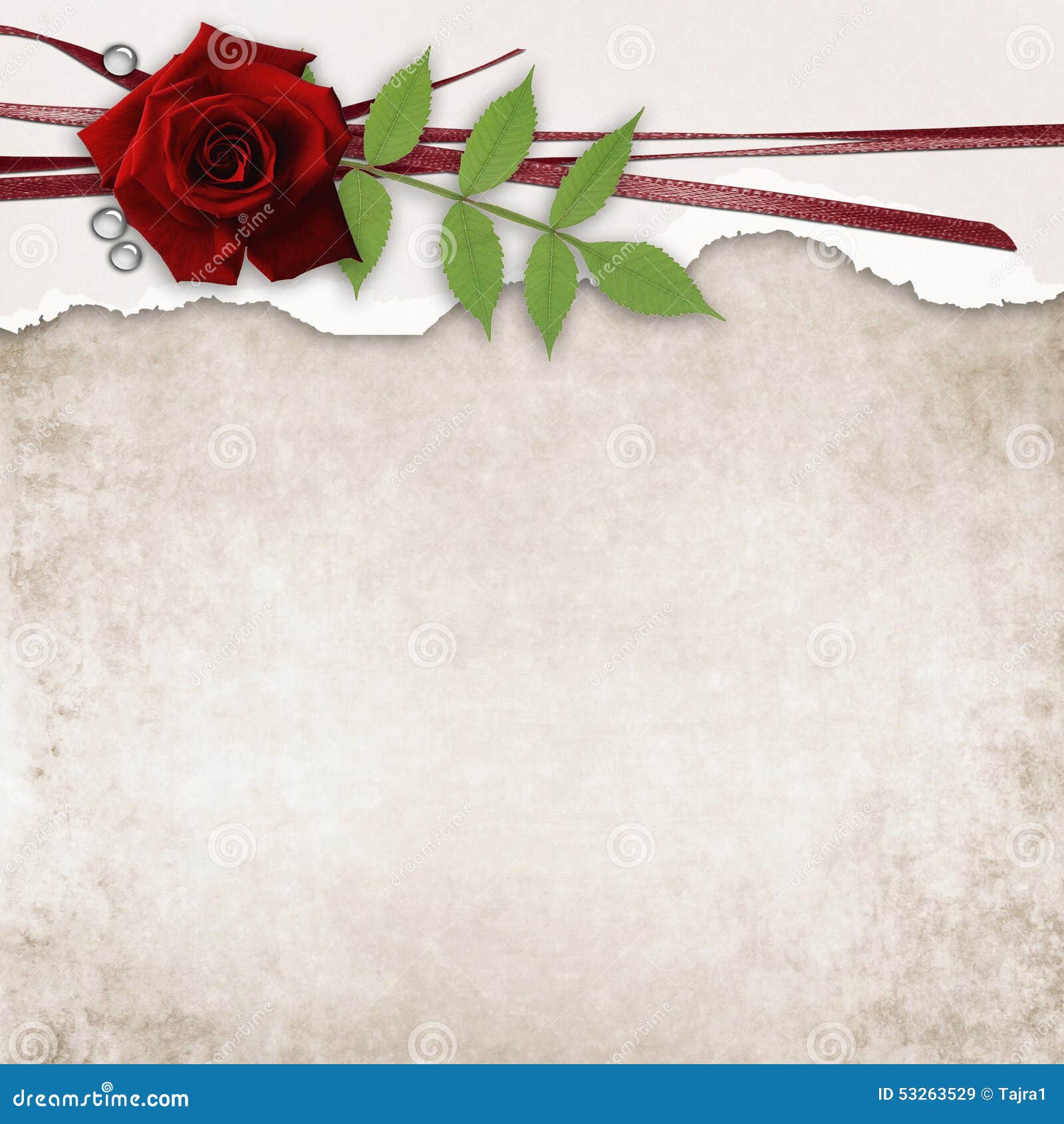 Card with Rose and Old Grunge Paper Stock Illustration - Illustration ...