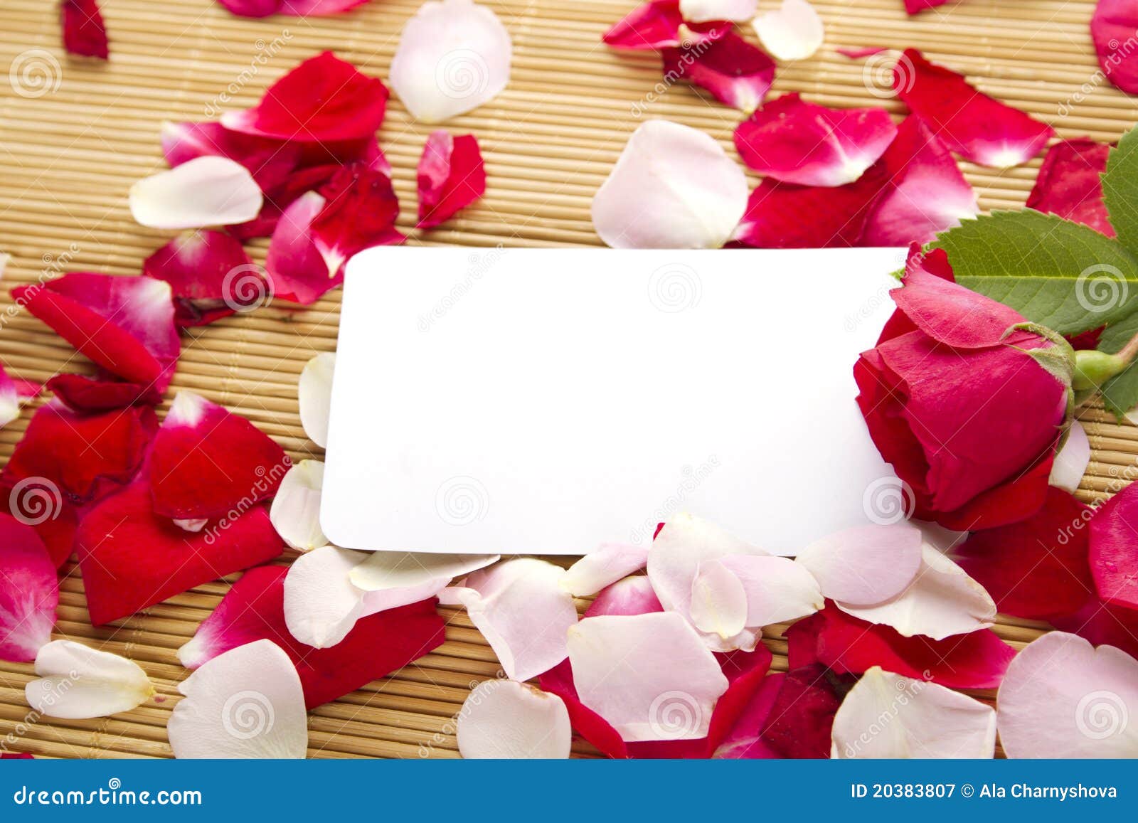 Card and roses stock image. Image of romance, roses, invitation - 20383807