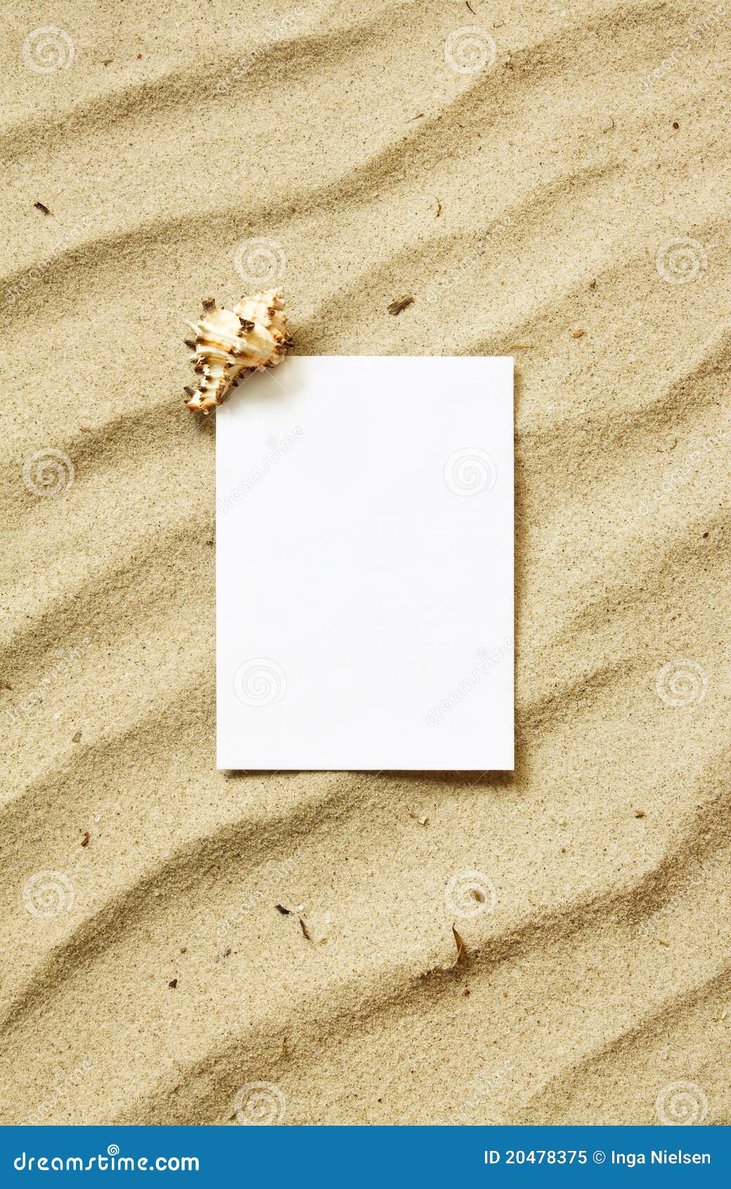 Card on Sand with Sea Shell Stock Image - Image of card, texture: 20478375