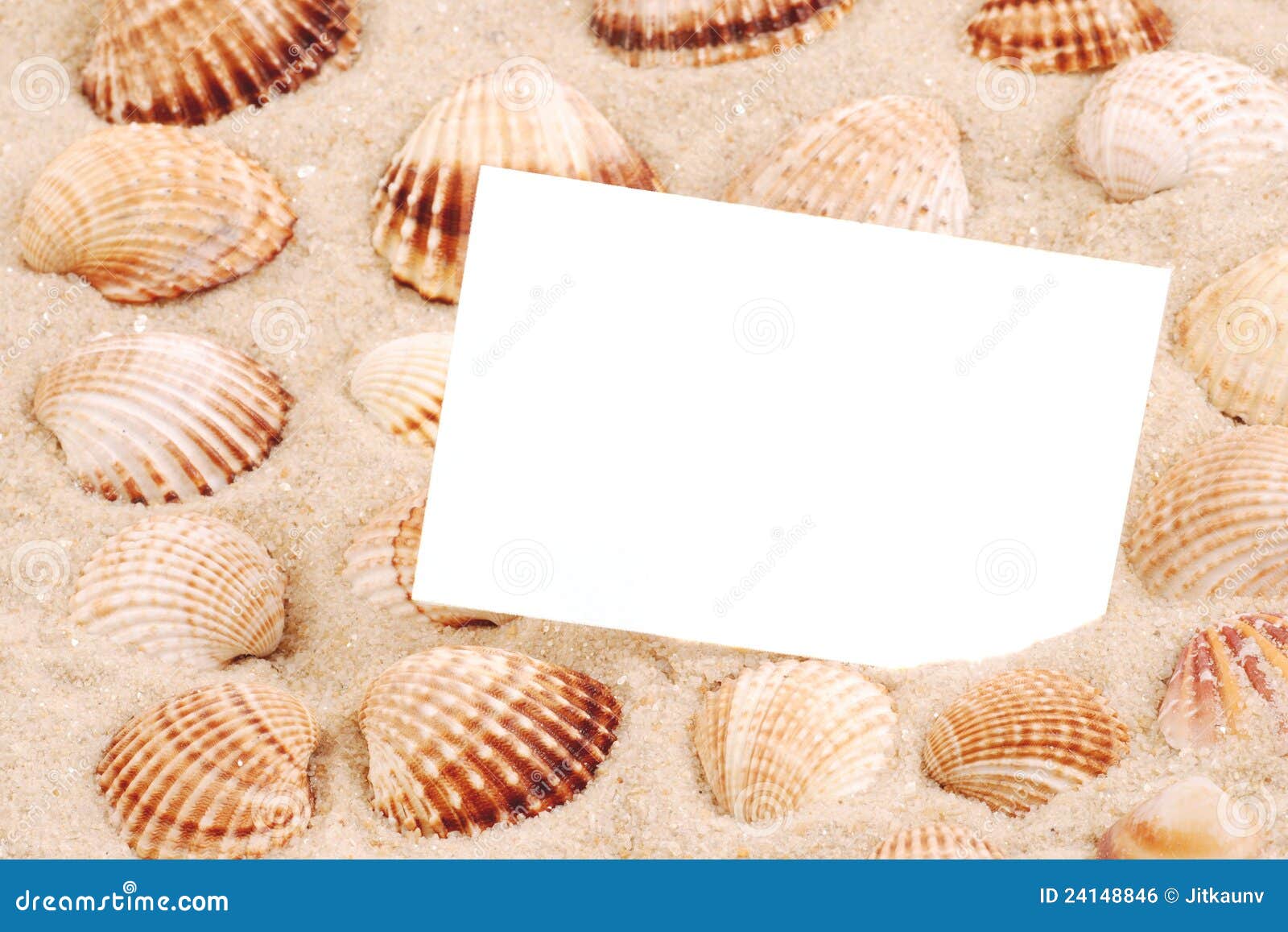 CARD on SAND with SEA SHELL Stock Photo - Image of frame, paper: 24148846