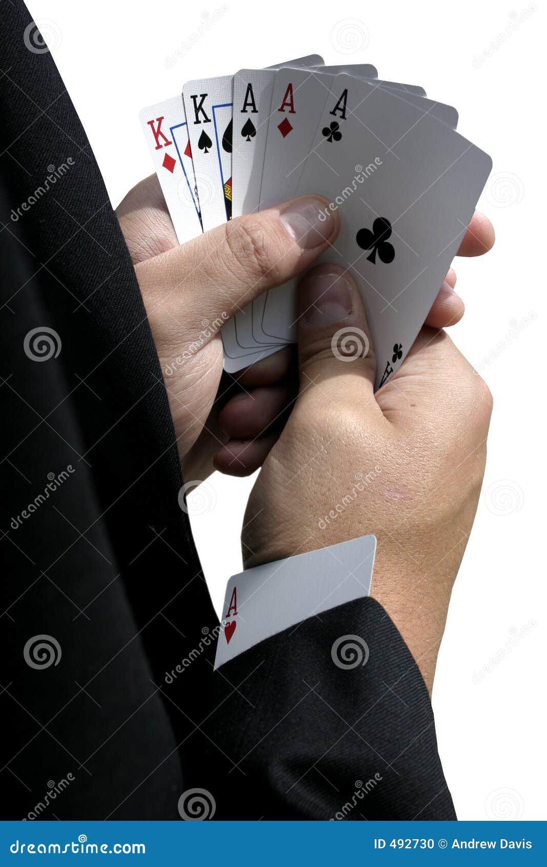 Card Shark stock photo. Image of hide, knave, pretender - 492730