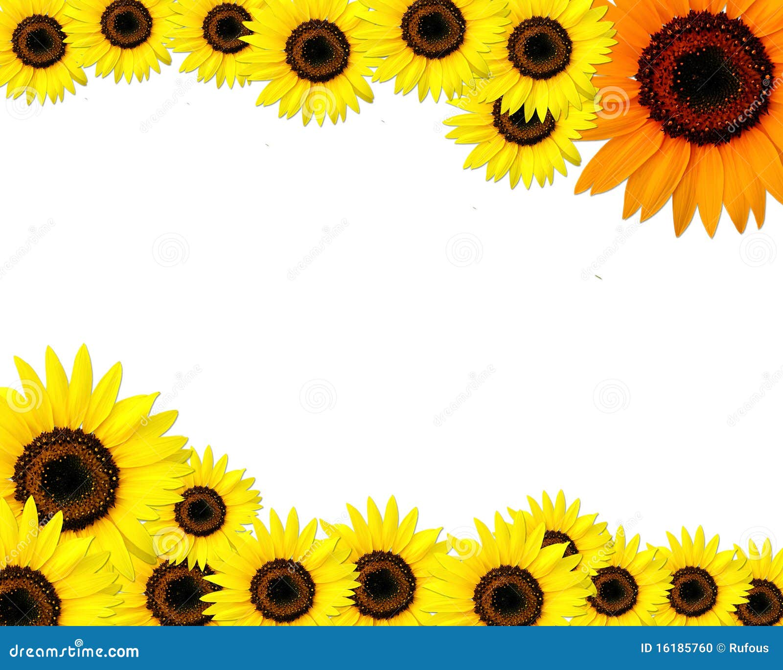 Card with Space for Text and Sunflowers Stock Photo - Image of ...