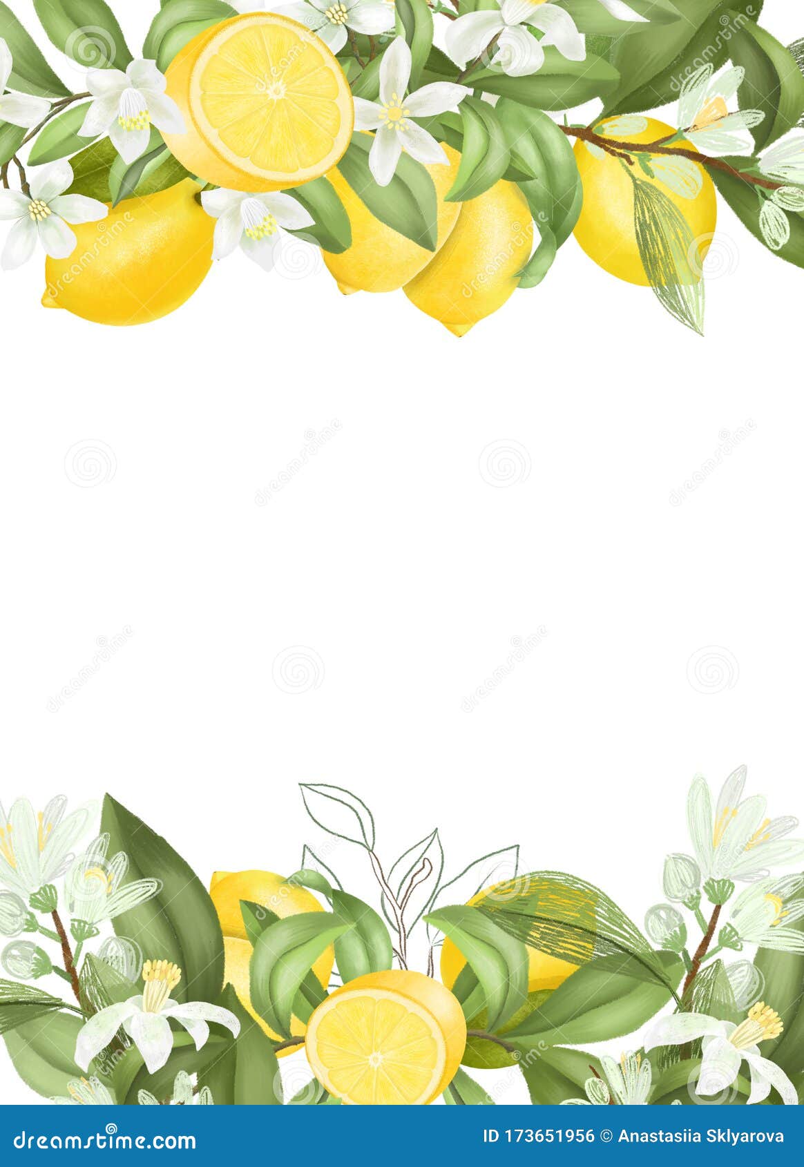Card Template, Frame of Hand Drawn Blooming Lemon Tree Branches Stock ...