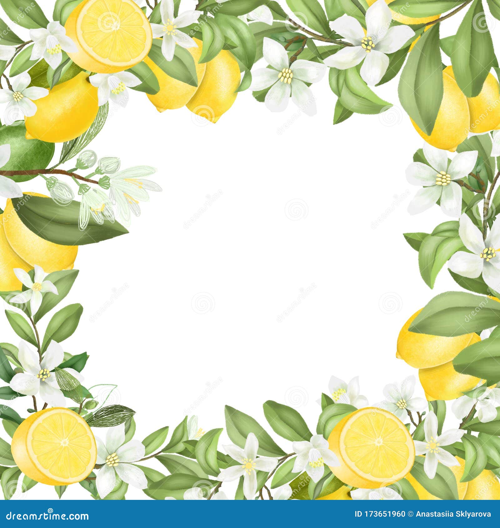 Card Template, Frame of Hand Drawn Blooming Lemon Tree Branches Stock ...