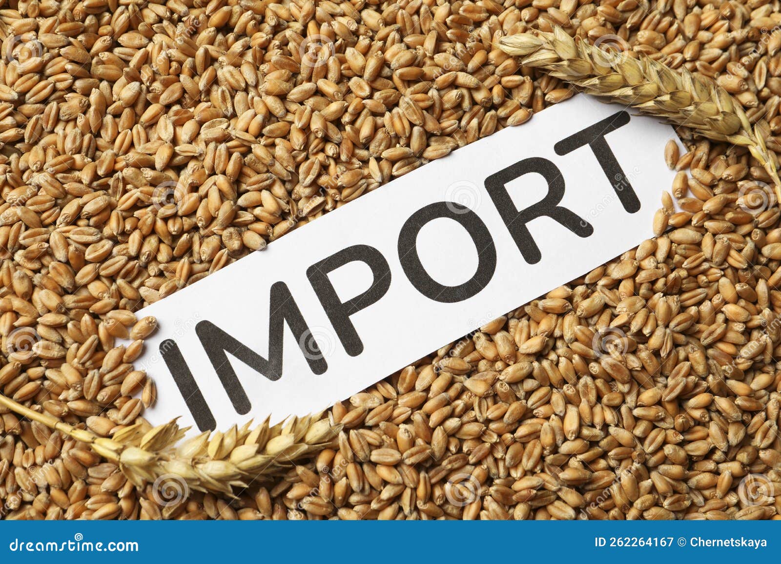 Card with Word Import in Wheat Grains, Top View Stock Image - Image of ...