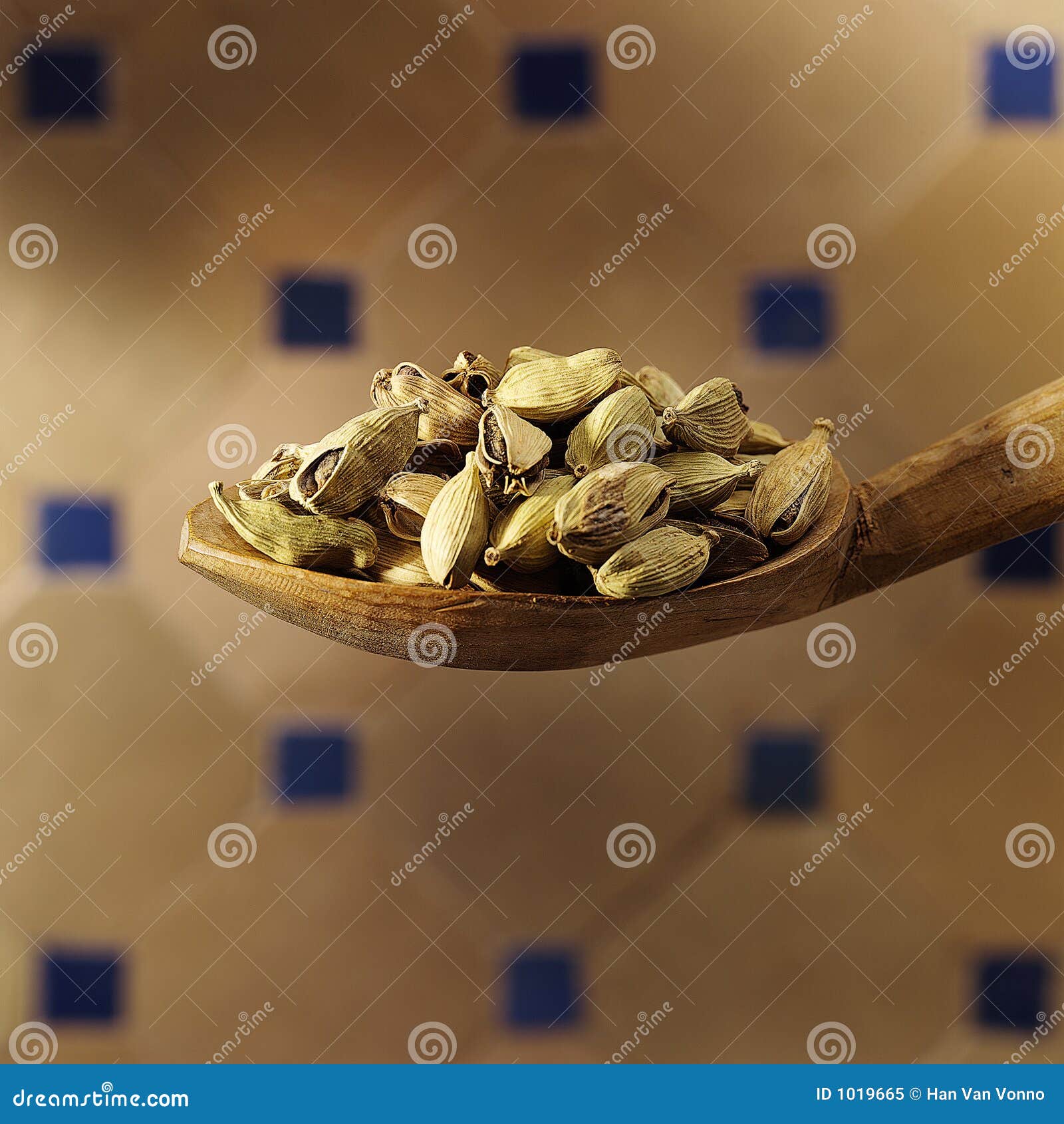 Cardamom stock image. Image of oriental, curry, flavour - 1019665