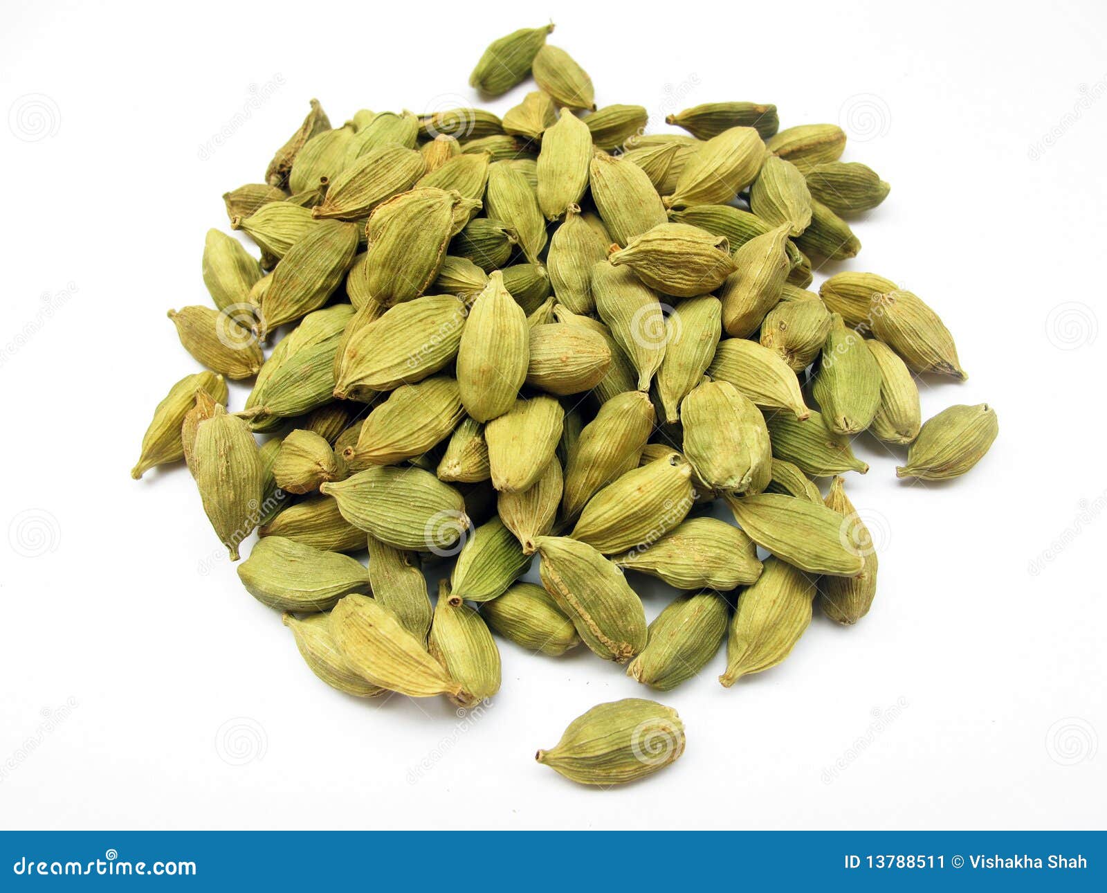 Cardamom stock image. Image of ayurvedic, dried, cardamom - 13788511