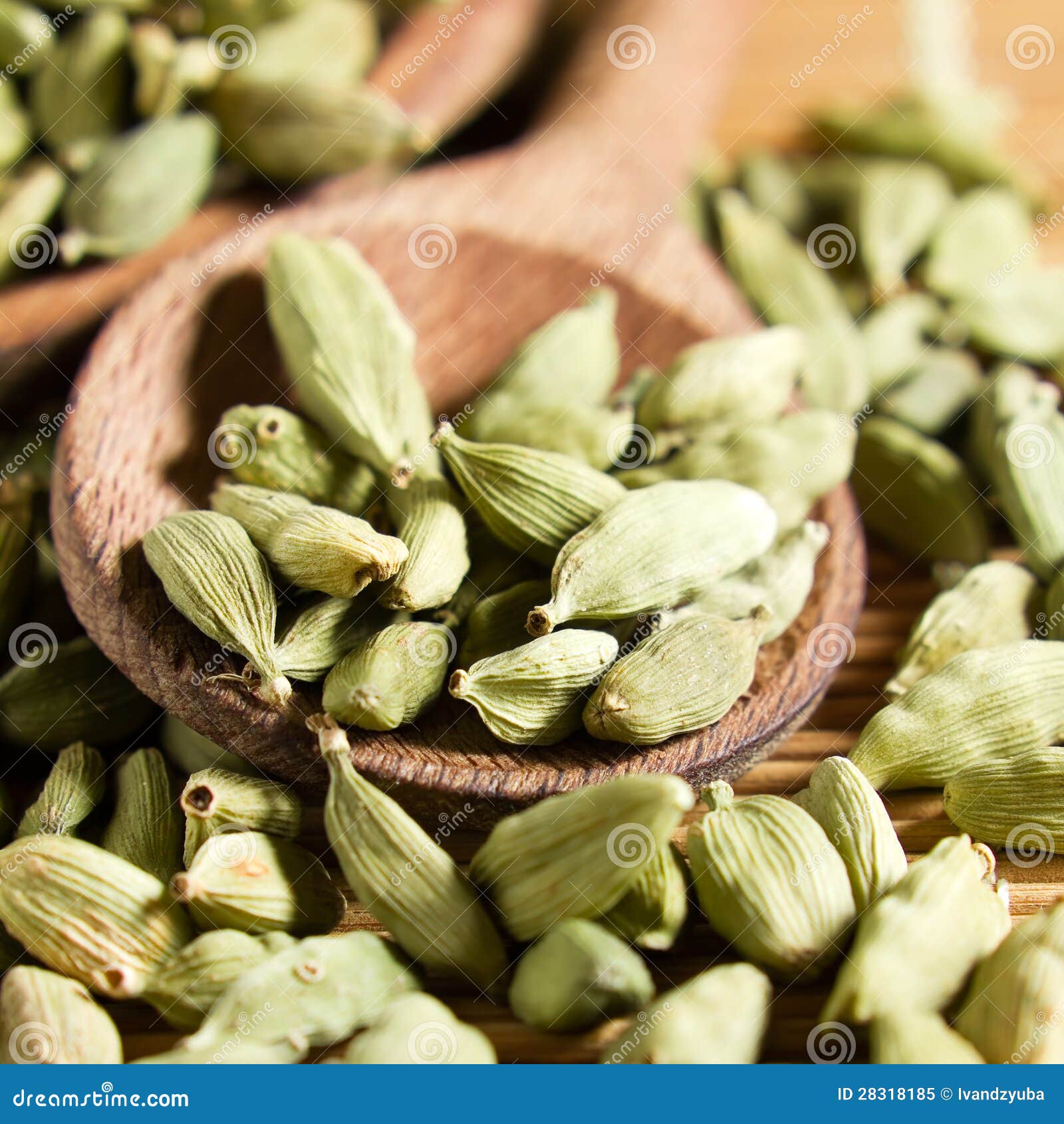 Cardamom stock image. Image of flavor, gourmet, medicinal - 28318185