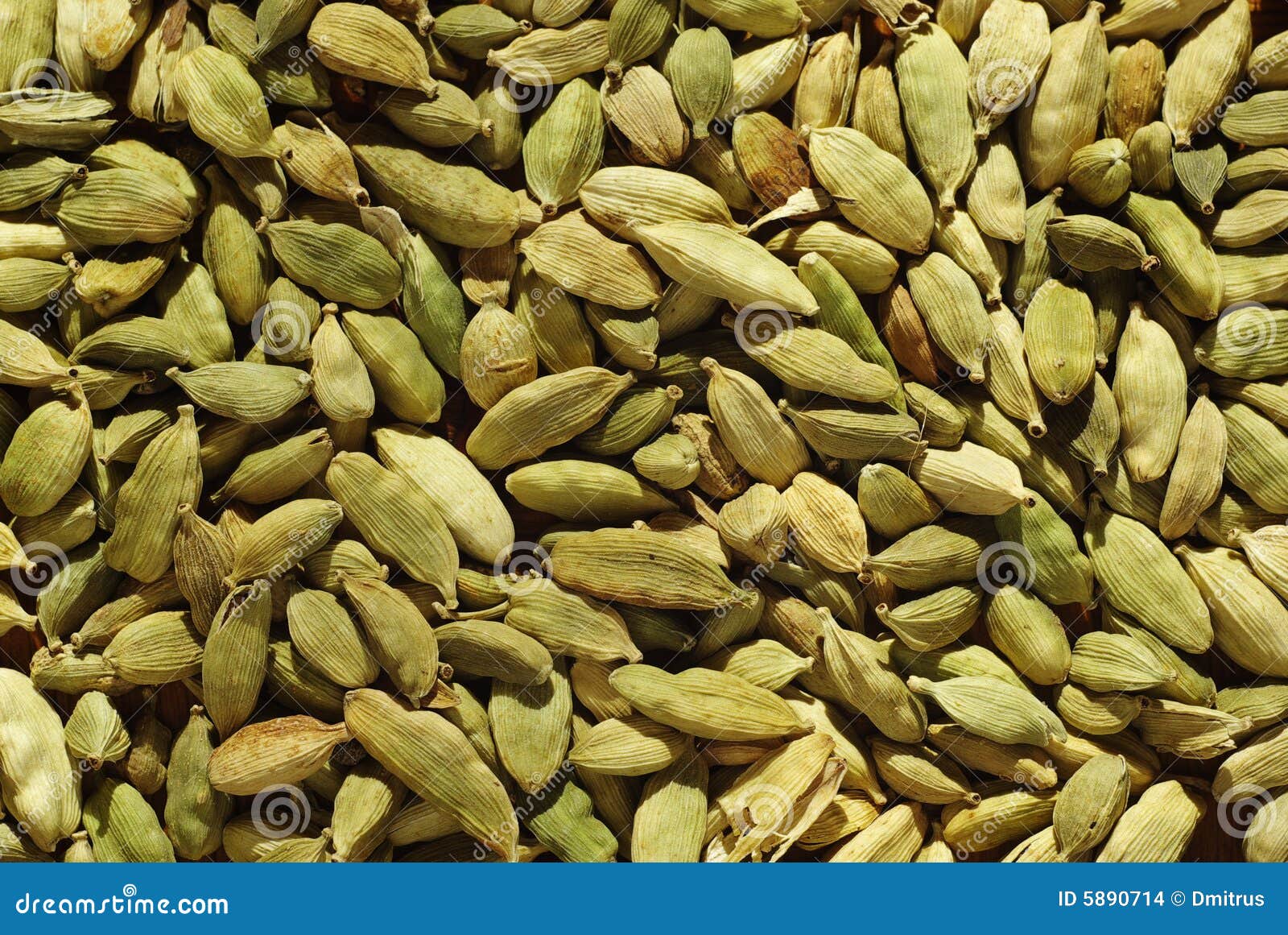 Cardamom Picture. Image: 5890714