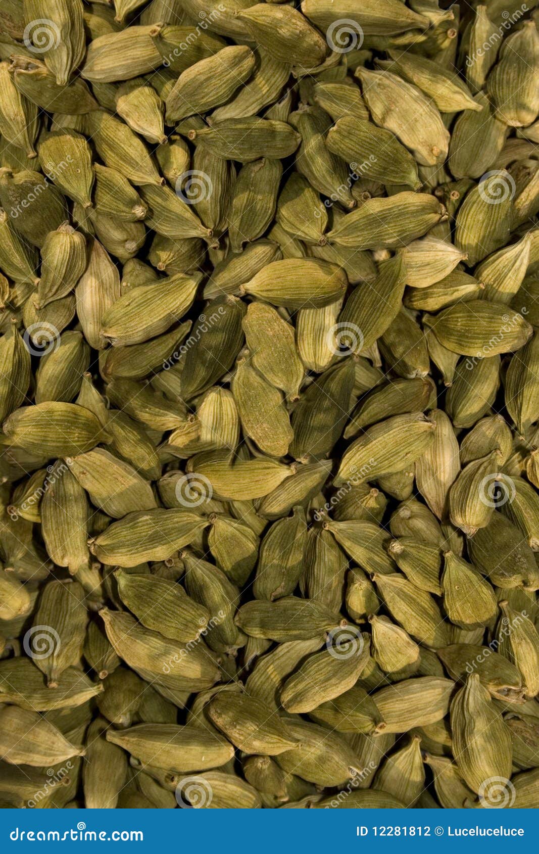 Cardamom Background stock photo. Image of note, notice - 12281812