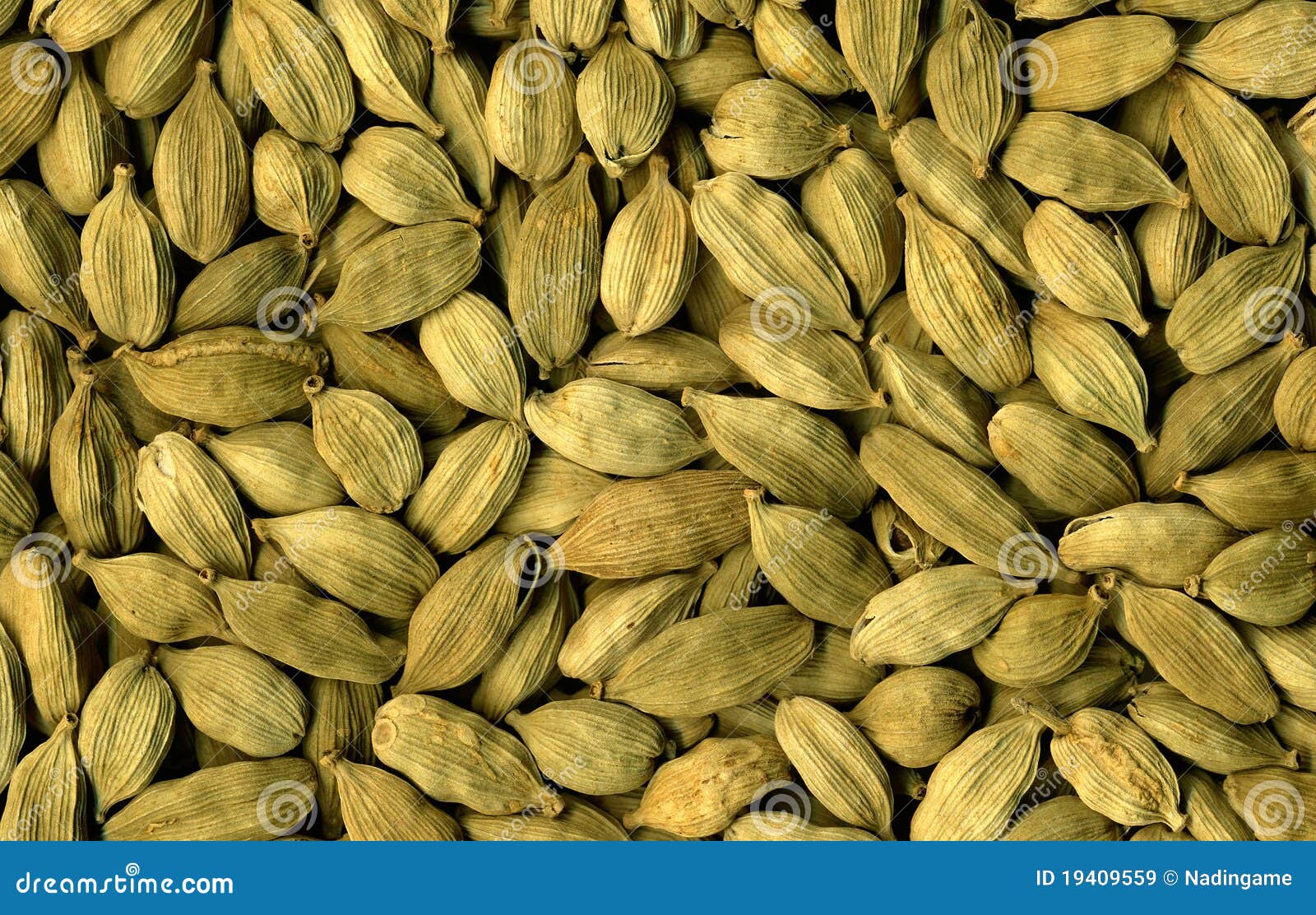 Cardamom background stock image. Image of masala, pattern - 19409559