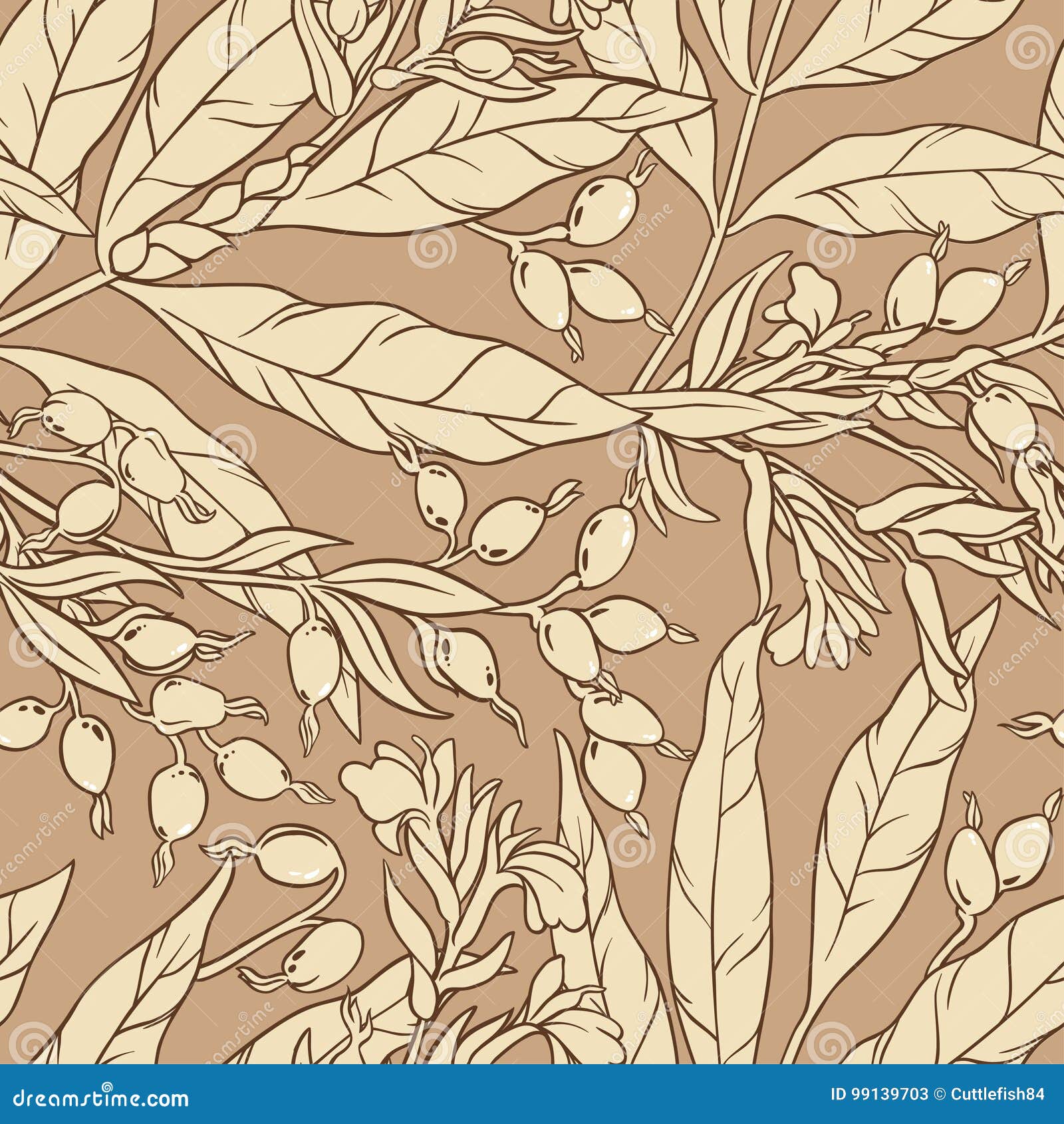 Cardamom vector pattern stock vector. Illustration of healthy - 99139703