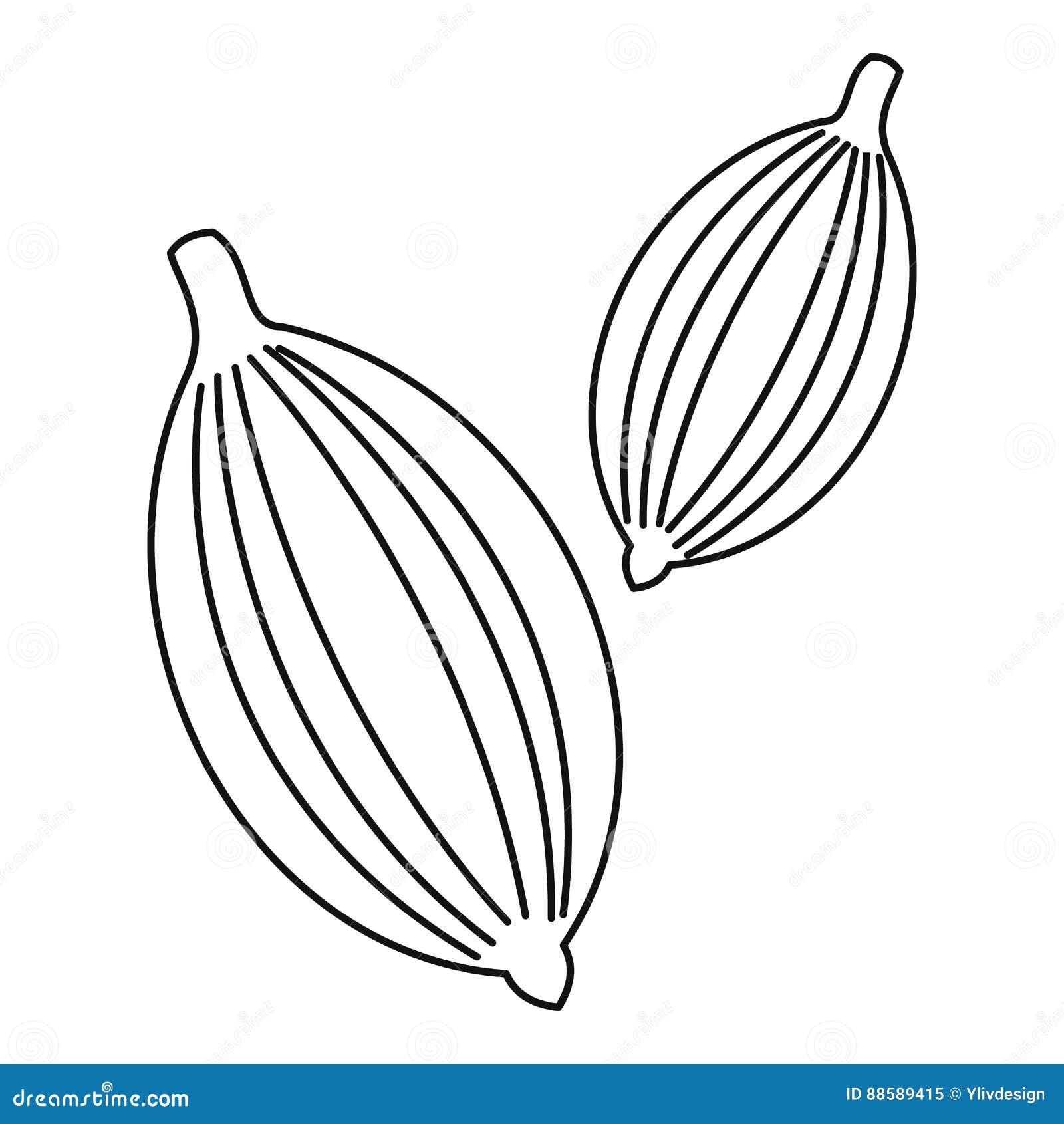 Cardamom Icon, Outline Style Stock Vector - Illustration of gourmet ...