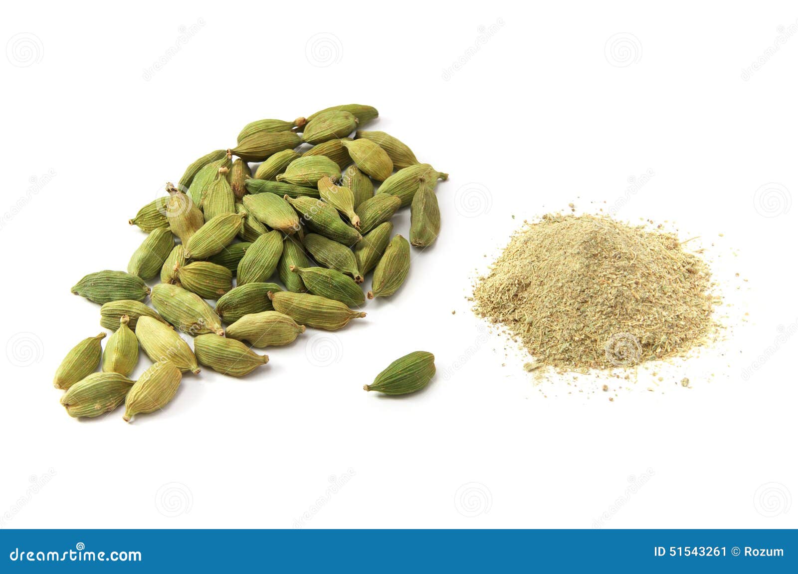 Cardamom isolated stock image. Image of dried, exotic - 51543261