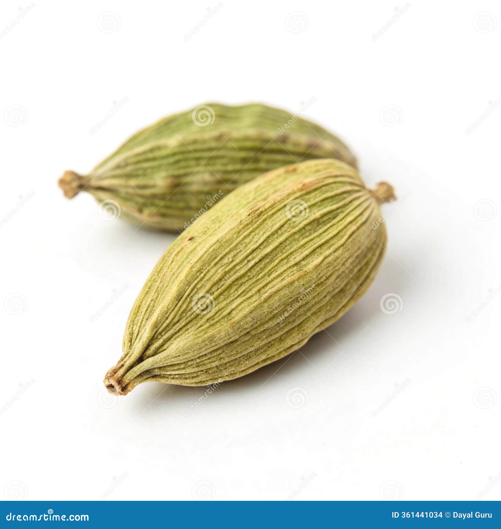 Cardamom Isolated On Transparent Background Stock Photography ...