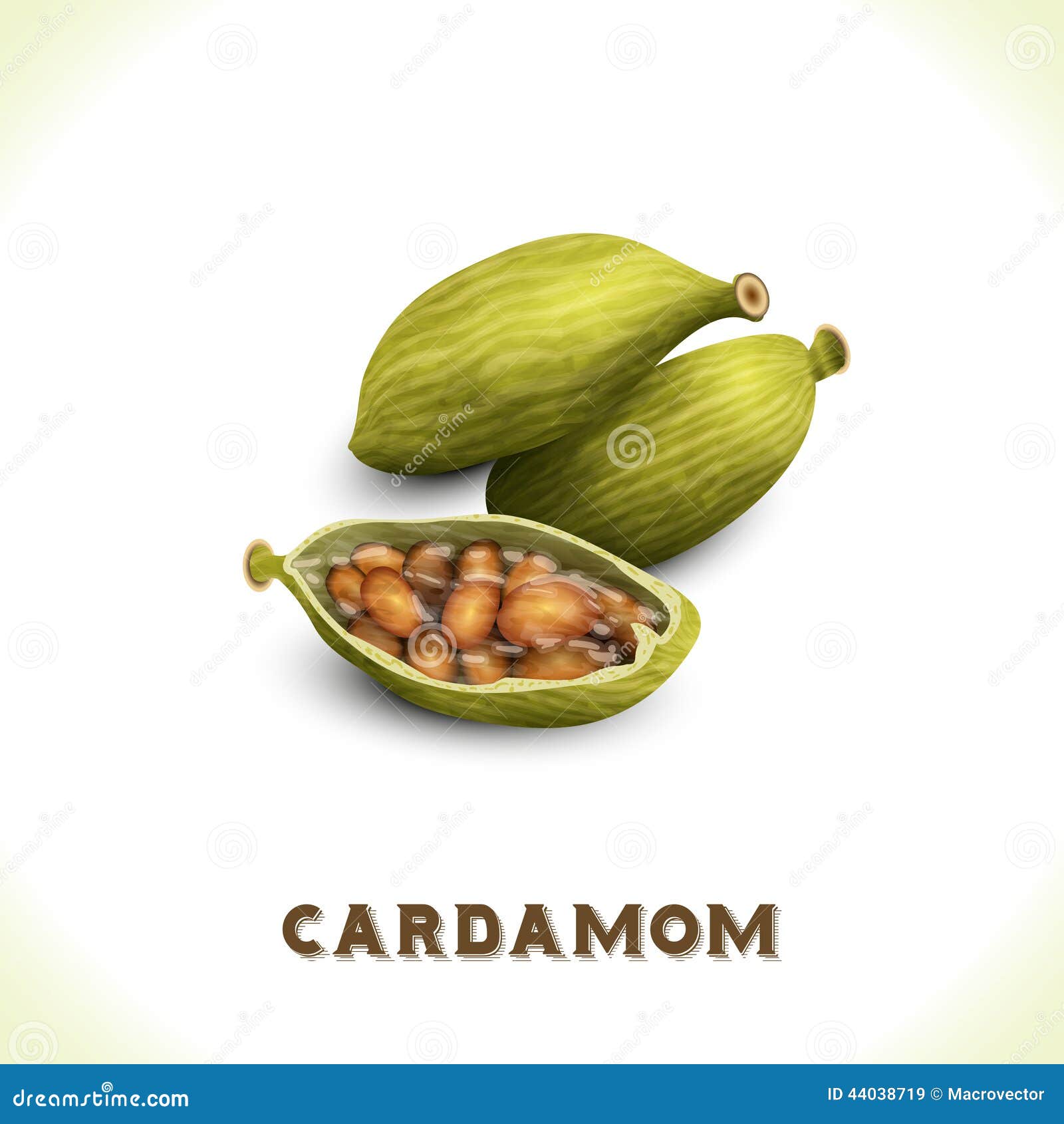 Cardamom Cartoons, Illustrations & Vector Stock Images - 4094 Pictures ...