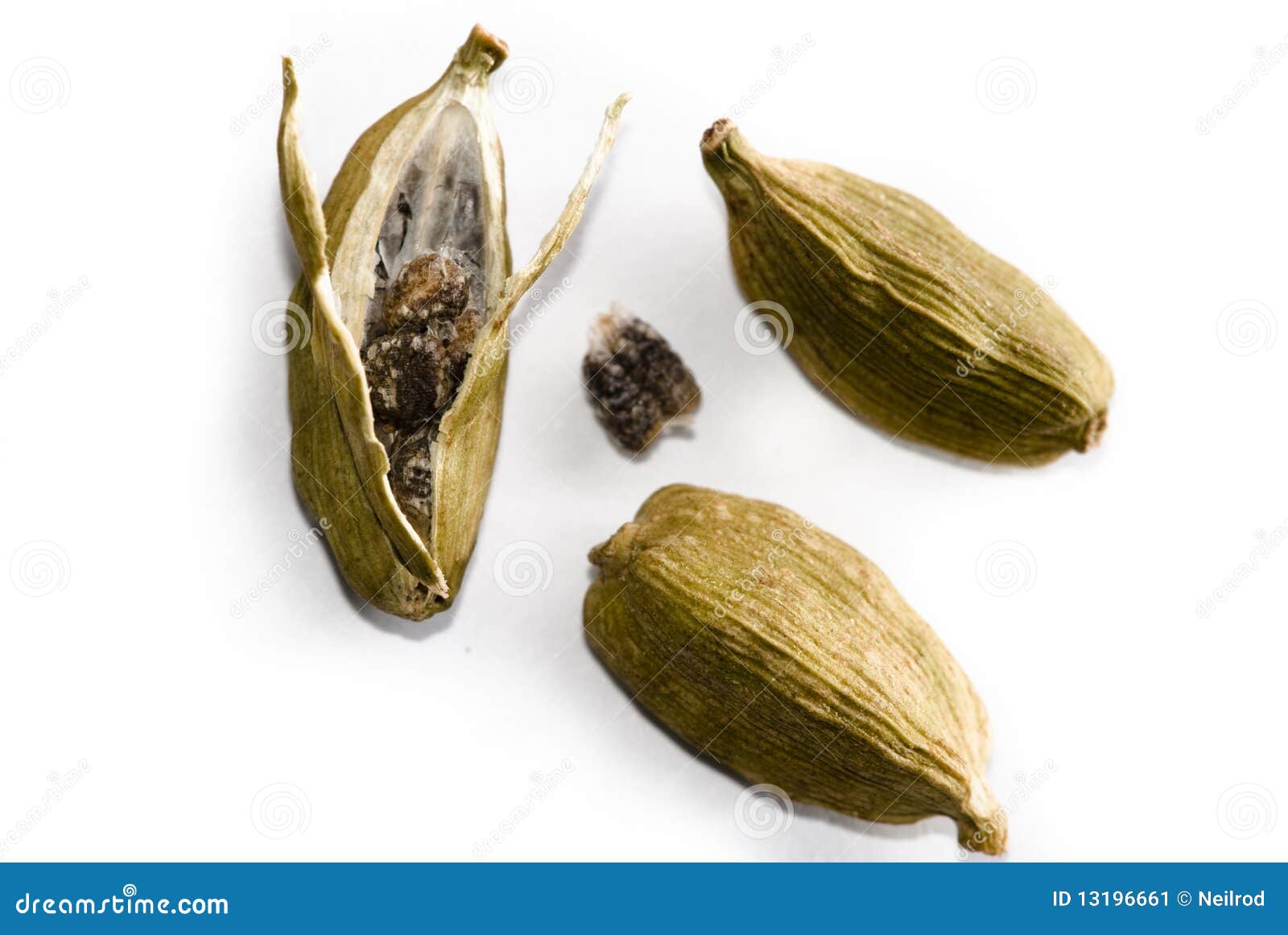 Cardamom Pods stock image. Image of eating, isolated - 13196661