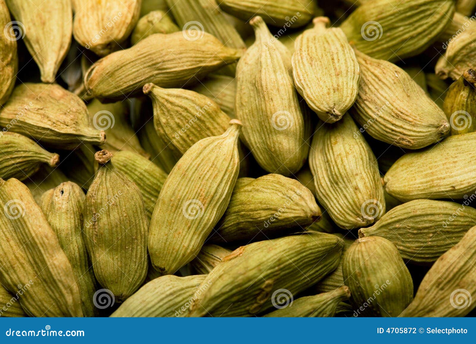 Cardamom Pods stock photo. Image of seedpod, cardamomum - 4705872