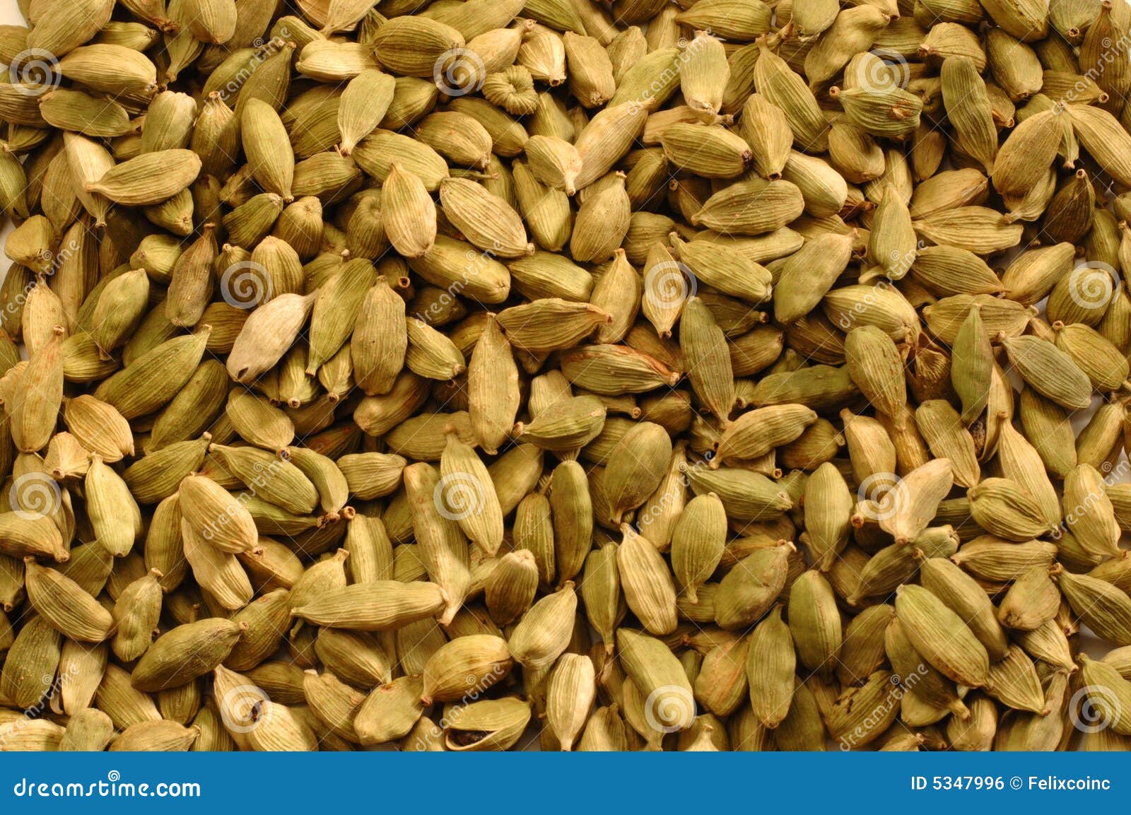Cardamom pods stock photo. Image of cooking, spice, pungent - 5347996