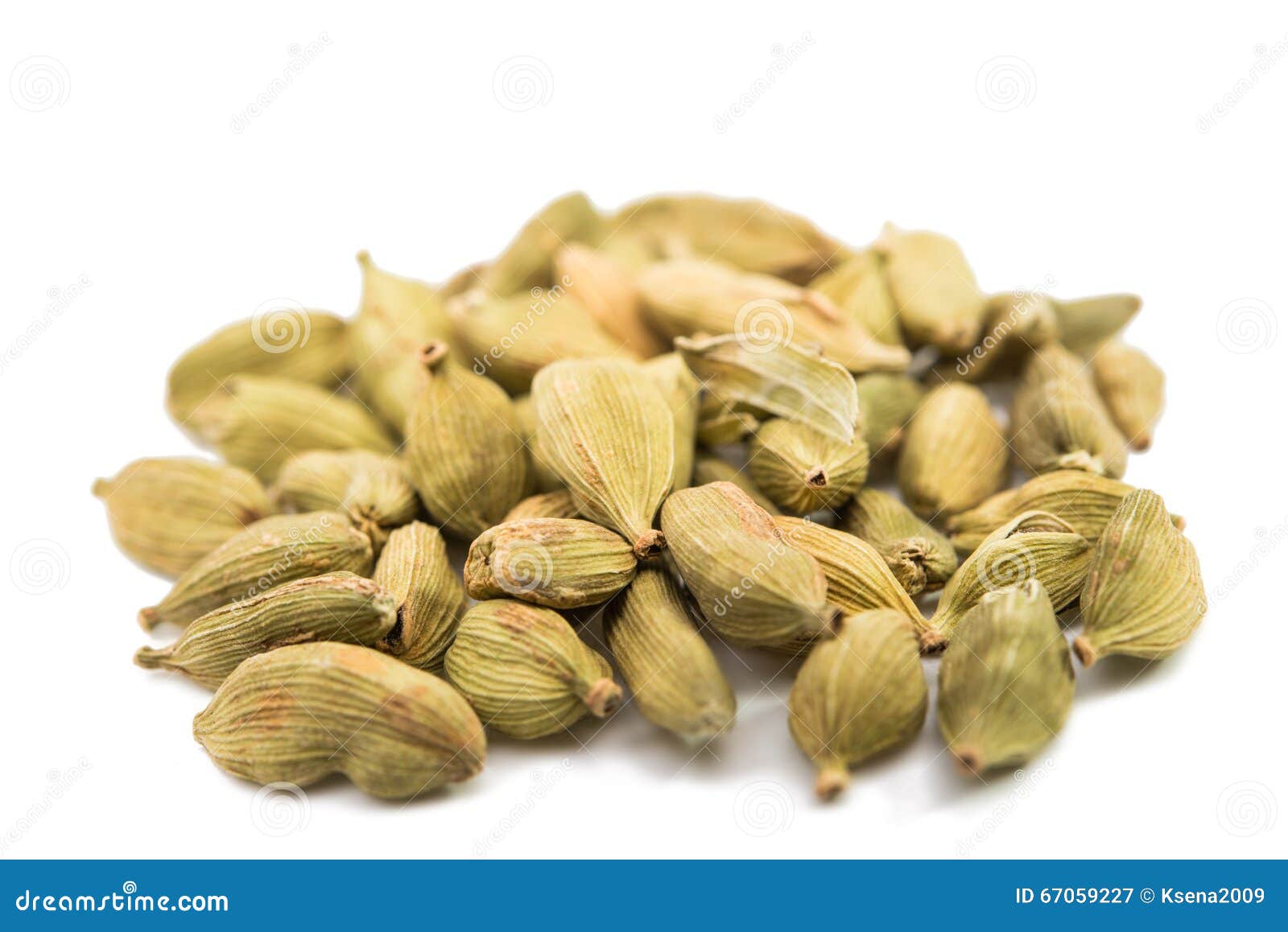 Cardamom pods stock image. Image of exotic, condiment - 67059227