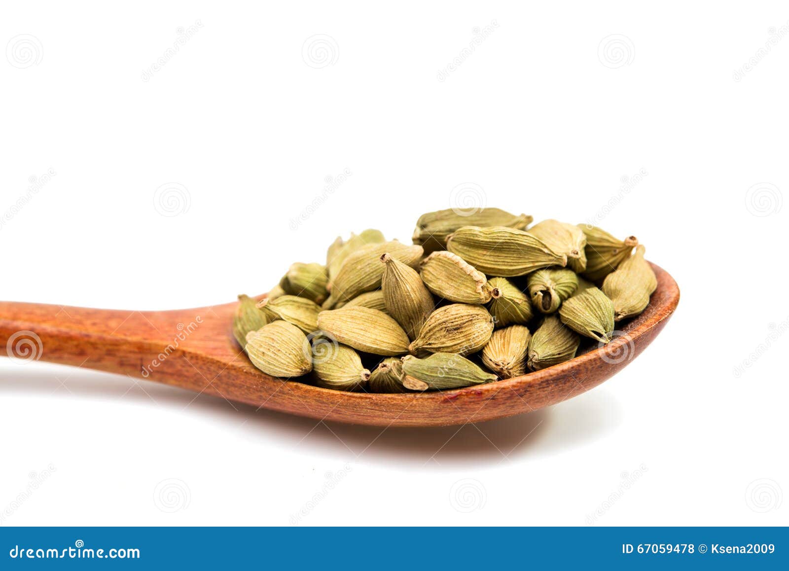 Cardamom pods stock photo. Image of group, cardamon, exotic - 67059478