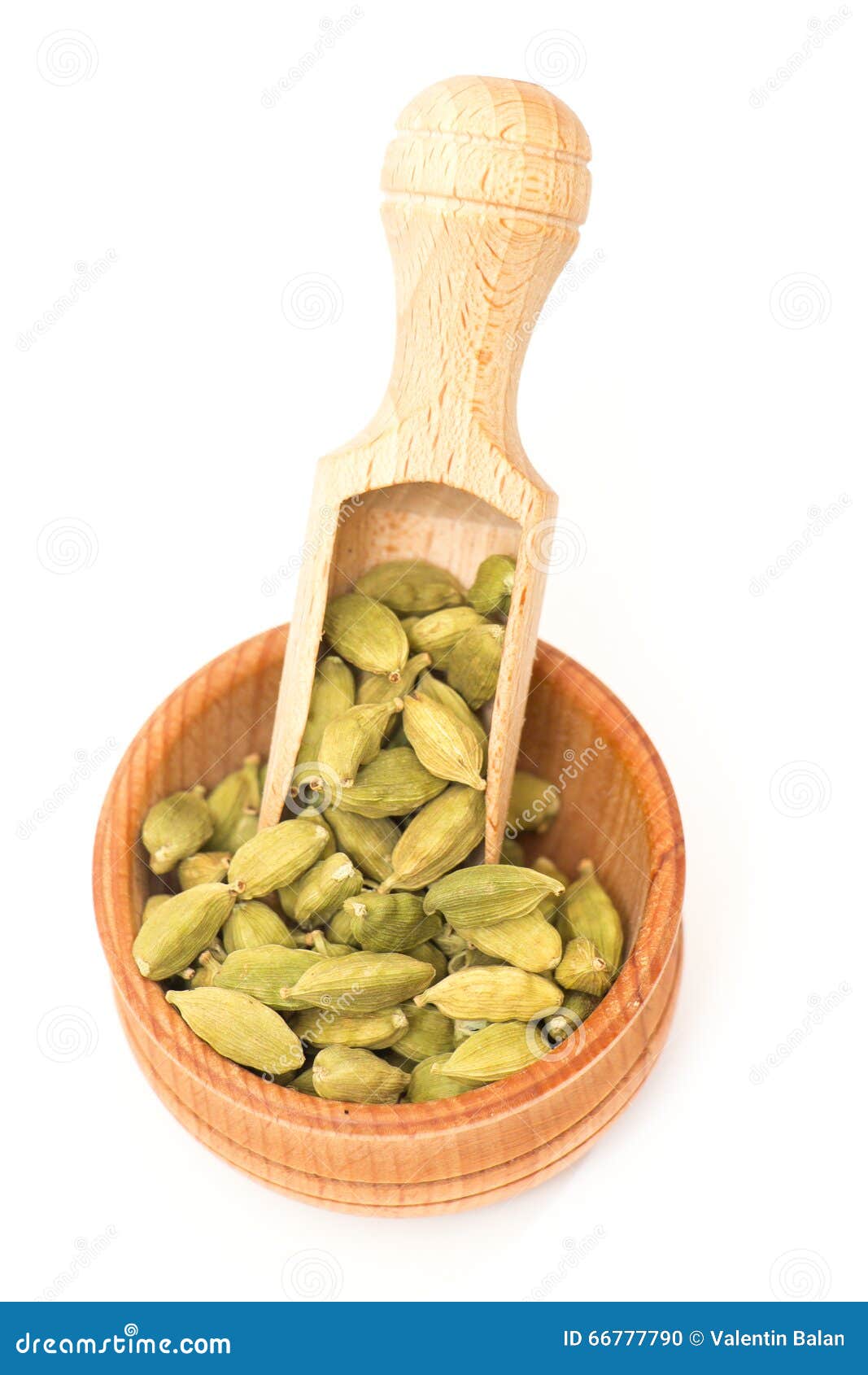 Cardamom pods stock photo. Image of background, spice - 66777790
