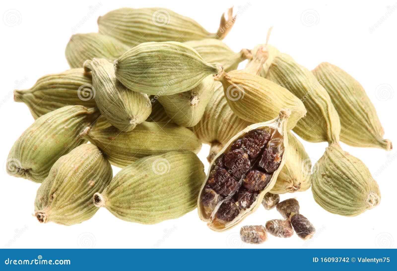 Cardamom seed. stock photo. Image of cardamomum, biologically - 16093742