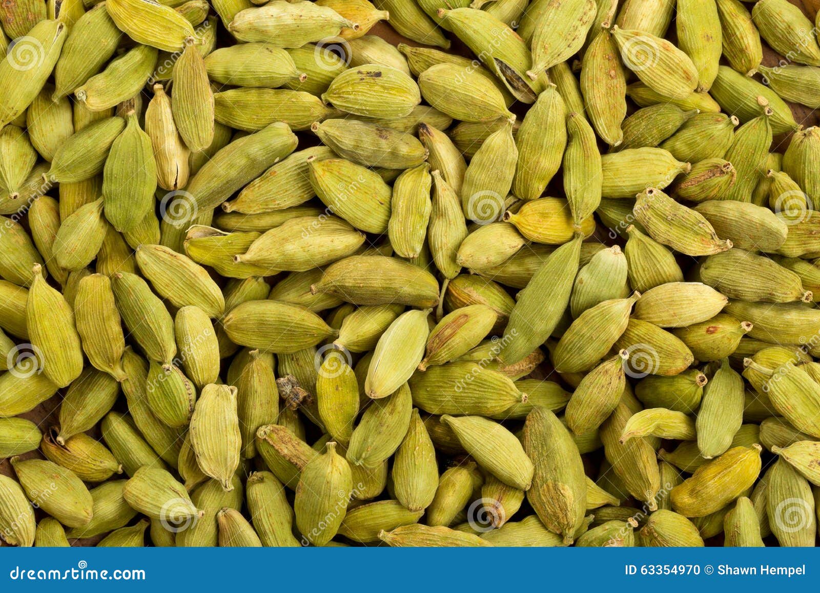 Cardamom Seed Isolated On White Background Royalty-Free Stock Photo ...