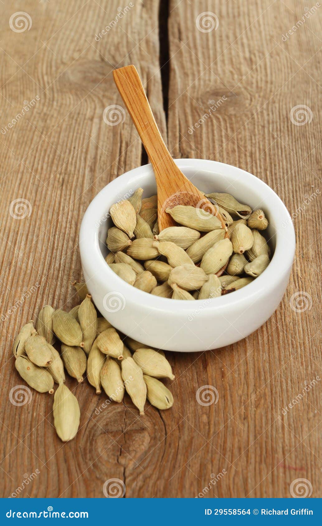 Cardamom spice stock photo. Image of knot, flavor, grain - 29558564