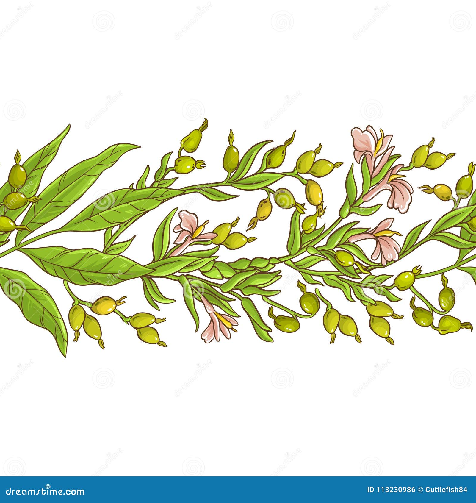 Cardamom vector pattern stock vector. Illustration of india - 113230986