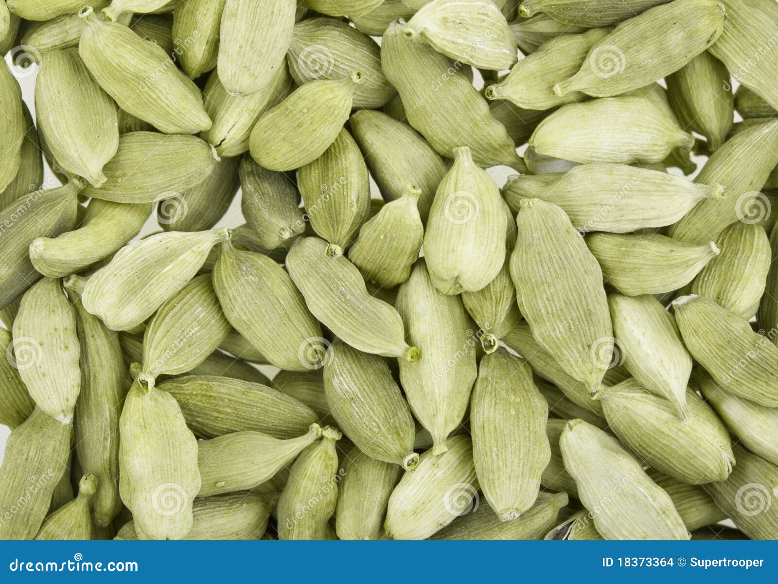 Cardamom whole stock photo. Image of medicine, epice - 18373364