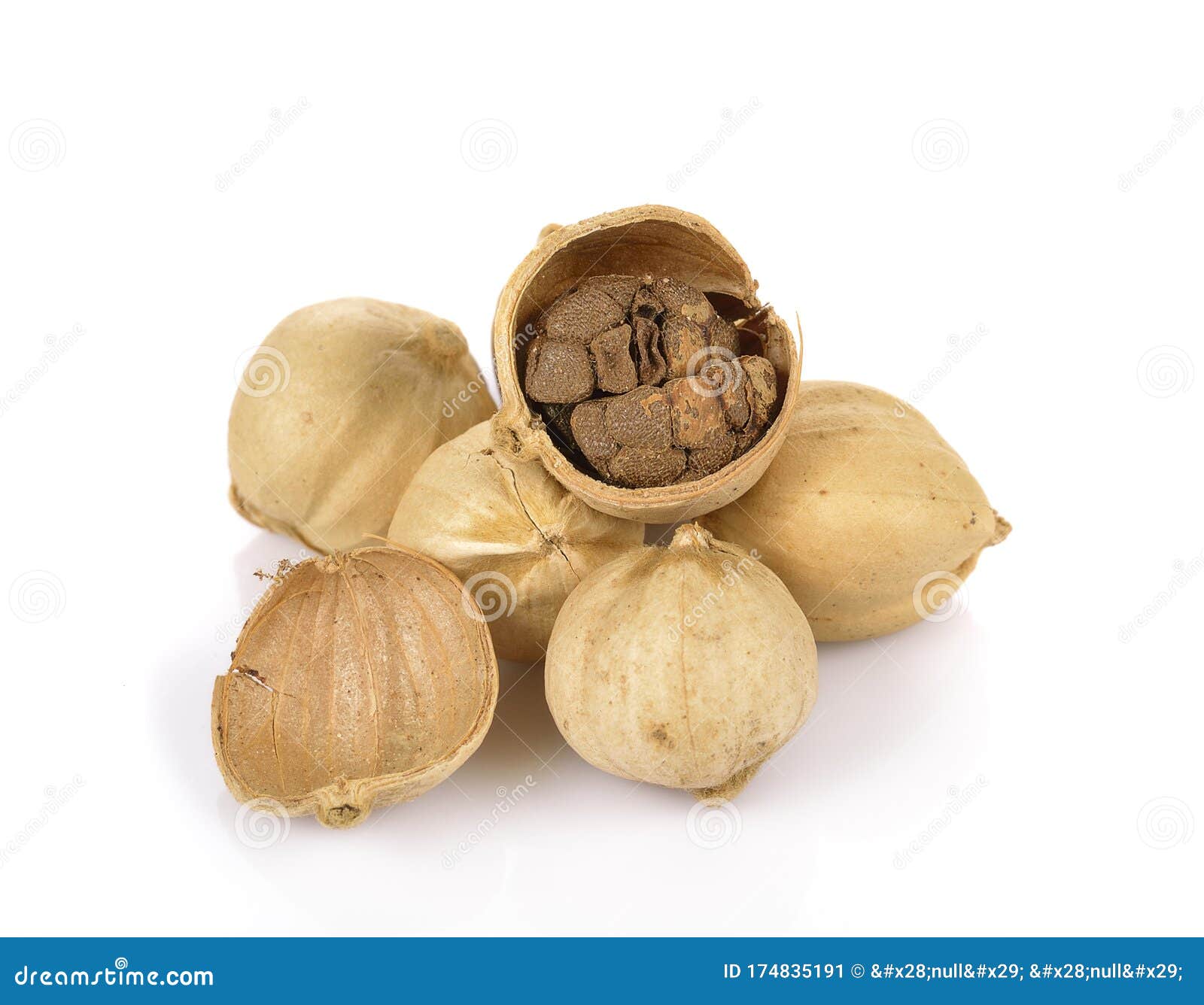 Cardamomo Aislado Sobre Fondo Blanco. Imagen de archivo - Imagen de ...